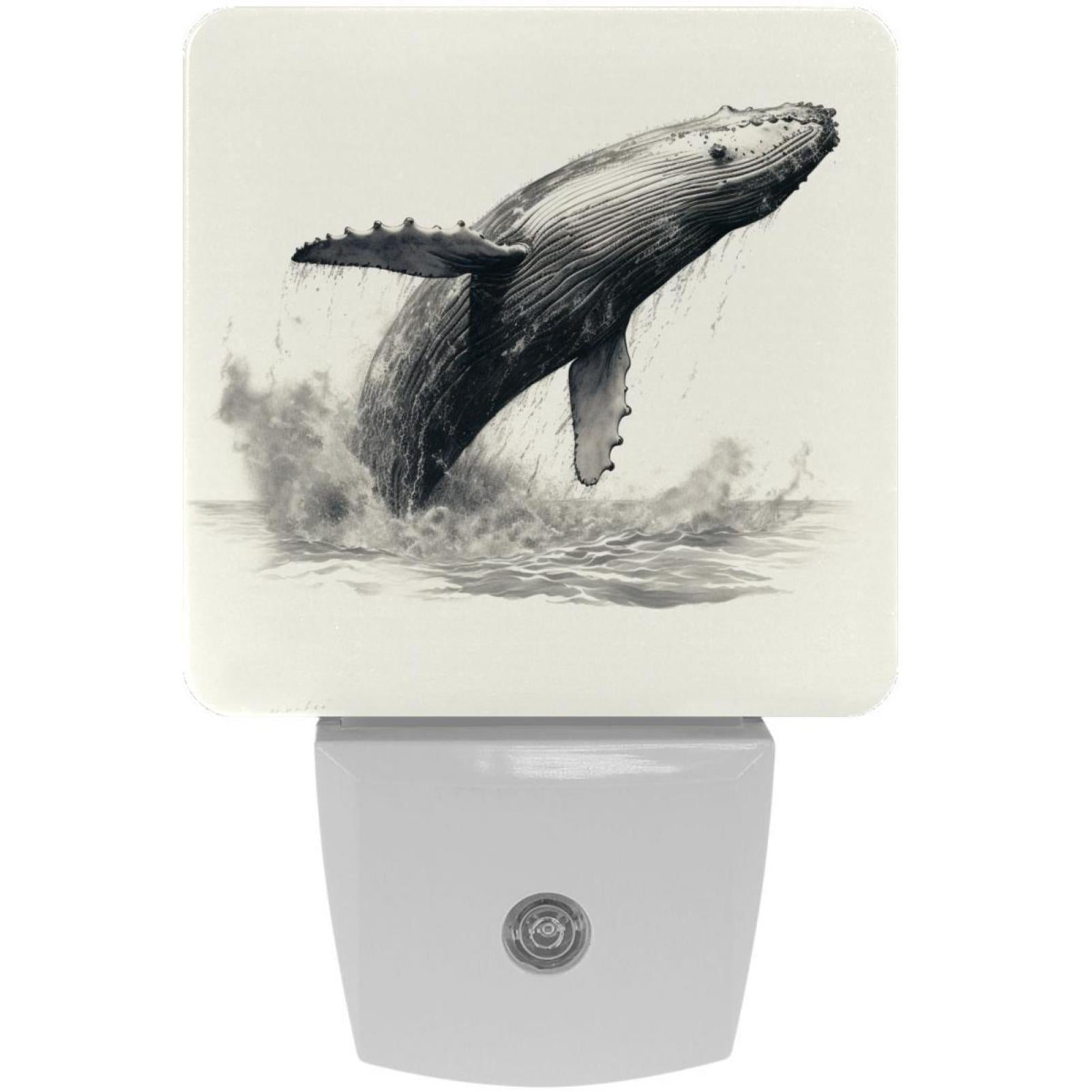 Whale LED Square Night Lights - Illuminating Your Space with Style ...