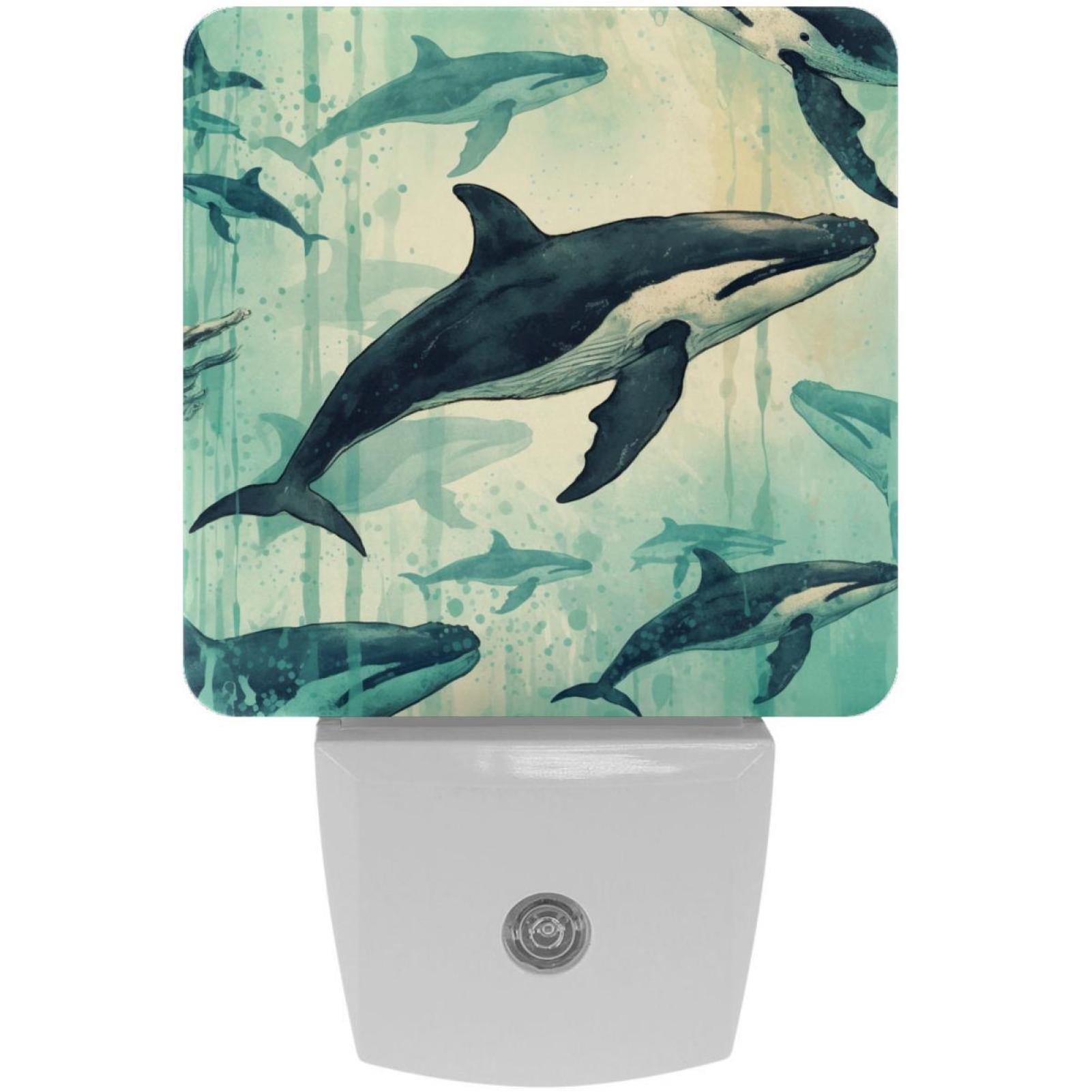 Whale LED Square Night Lights - Illuminating Your Space with Style ...