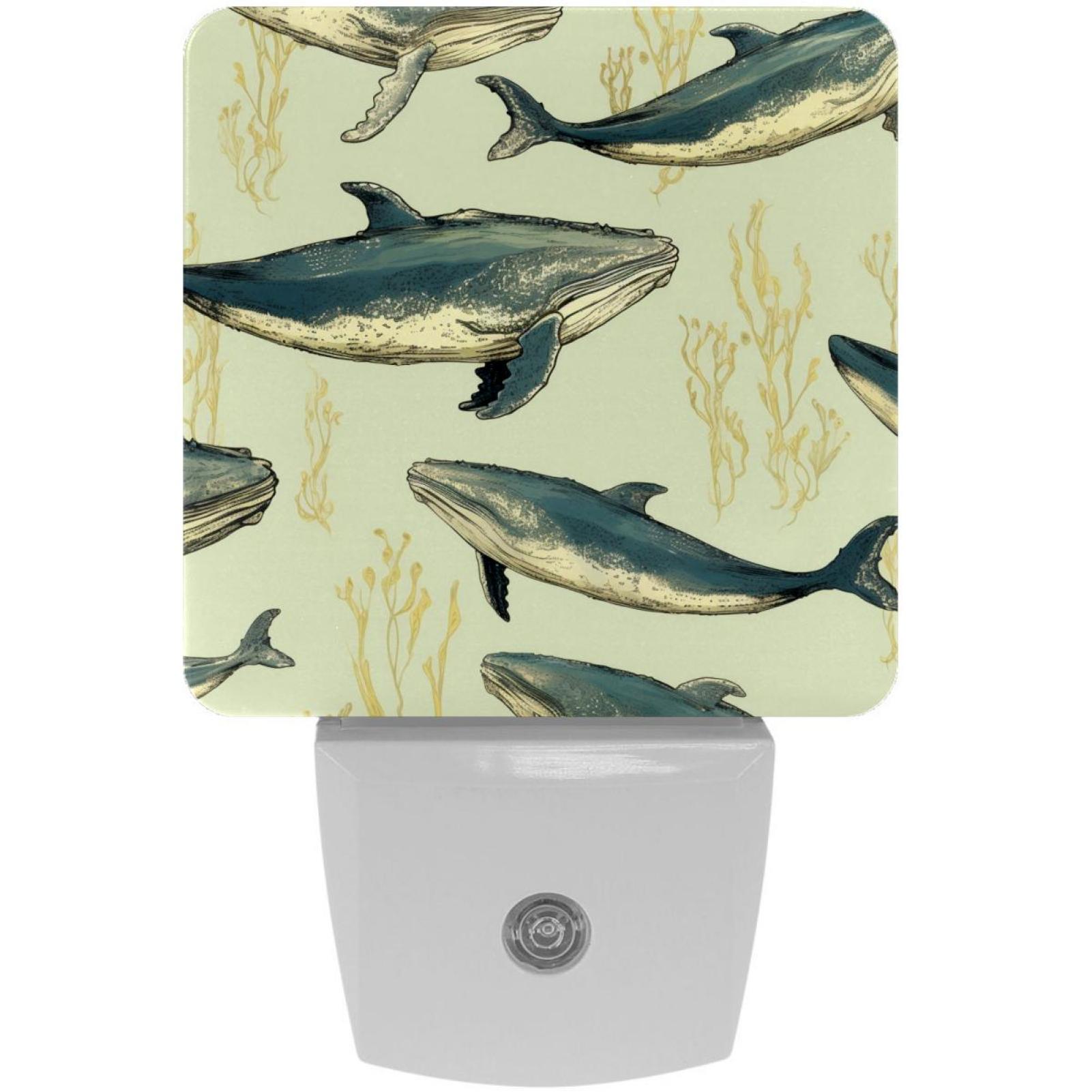 Whale LED Square Night Lights - Stylish and Energy-Efficient Lighting ...