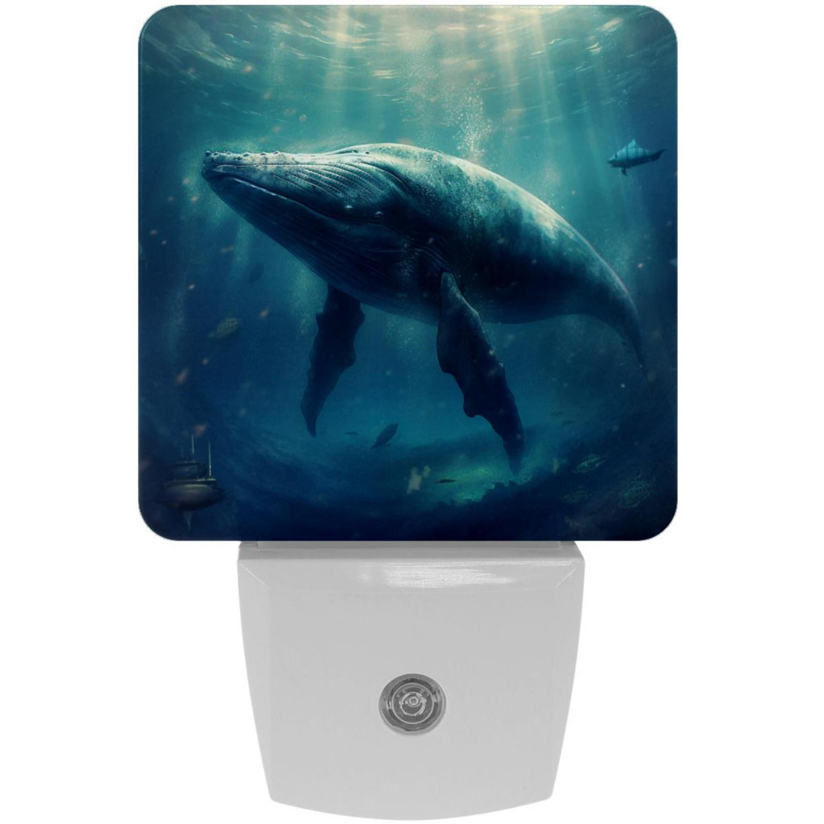 Whale LED Square Night Lights for Bedroom and Living Room, Decorative ...