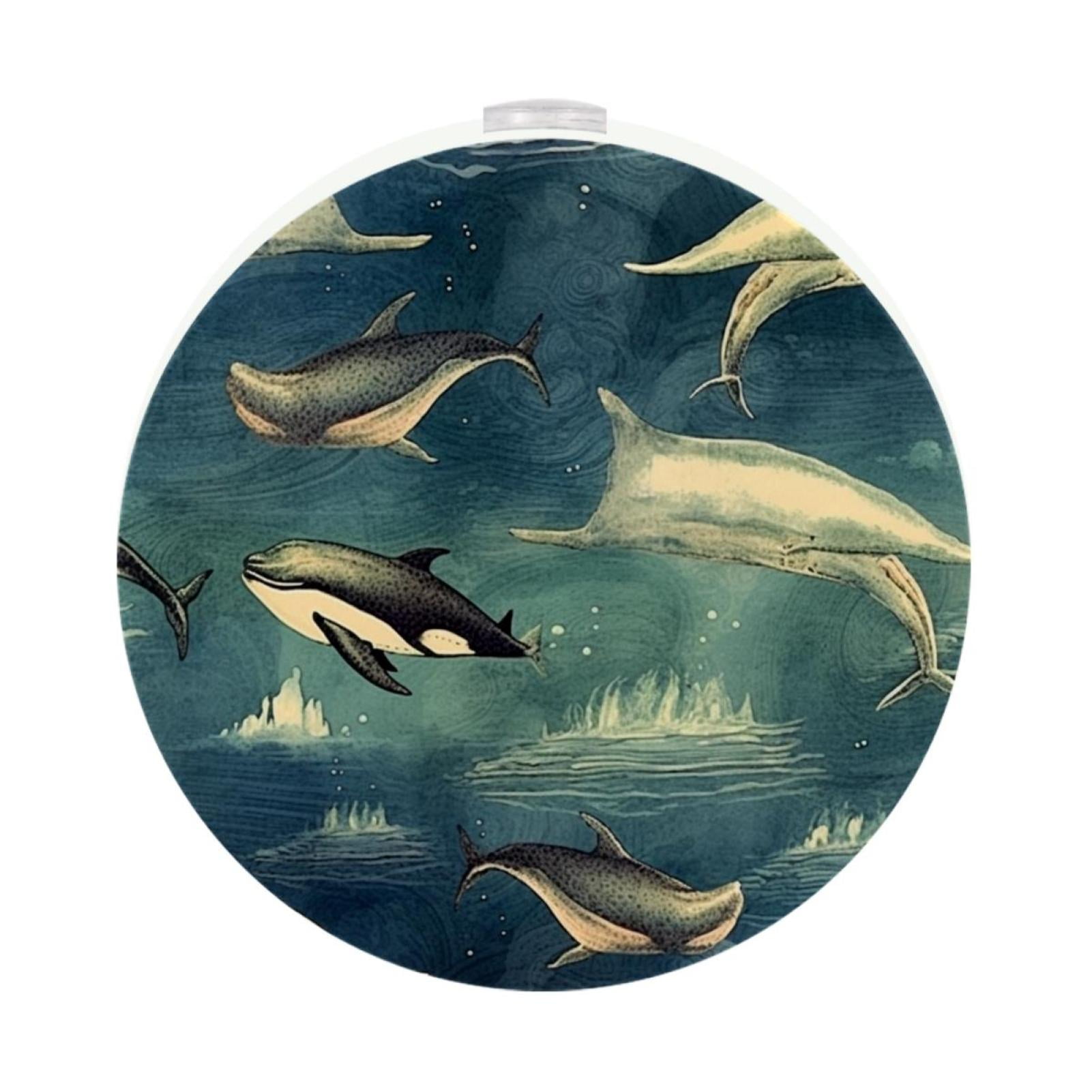 Whale LED Wall Light Night Lights, Set of 2-Pack Induction Control ...