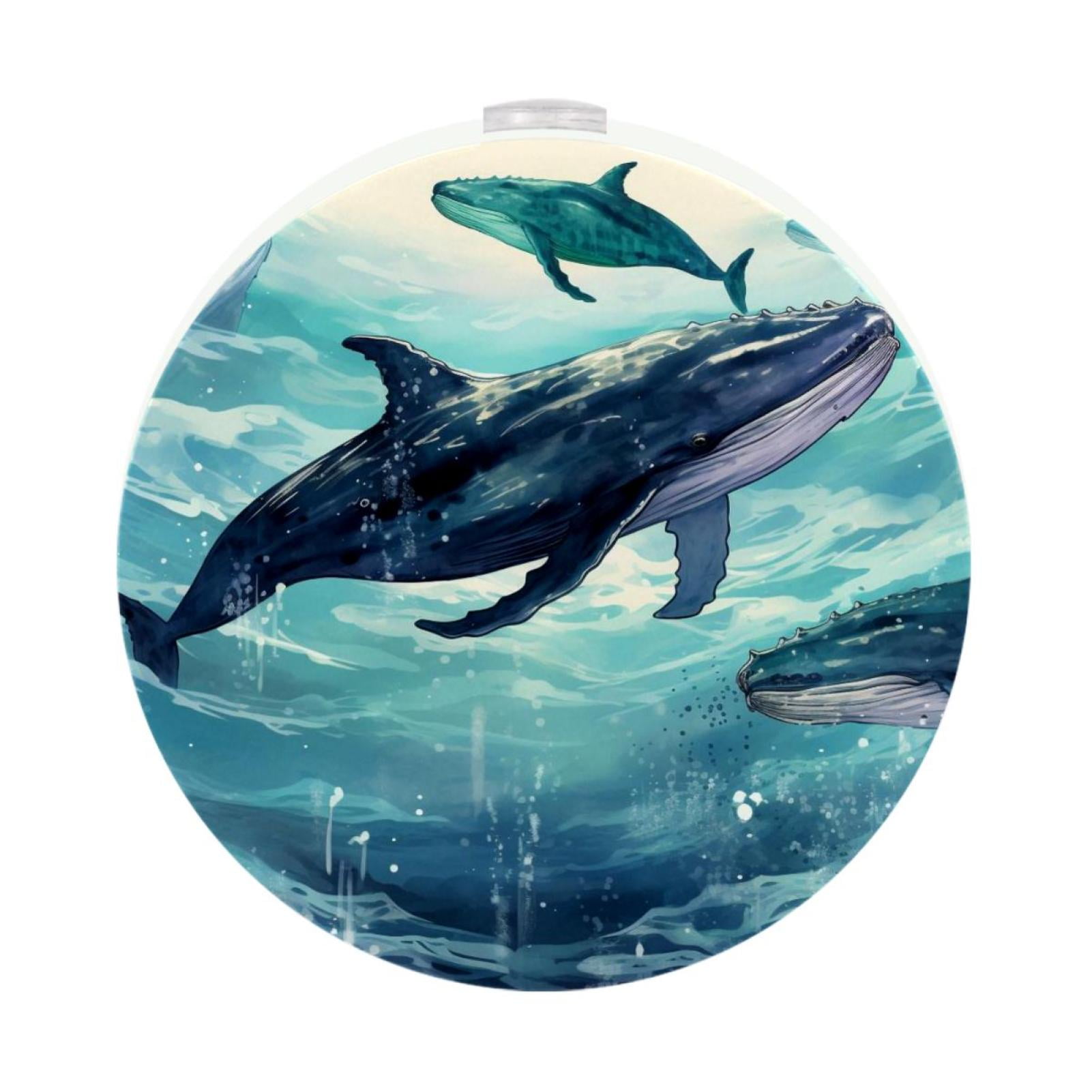Whale Led Round Night Light-2pcs, Dimmable Plug-in Mini Wall Lamp with ...