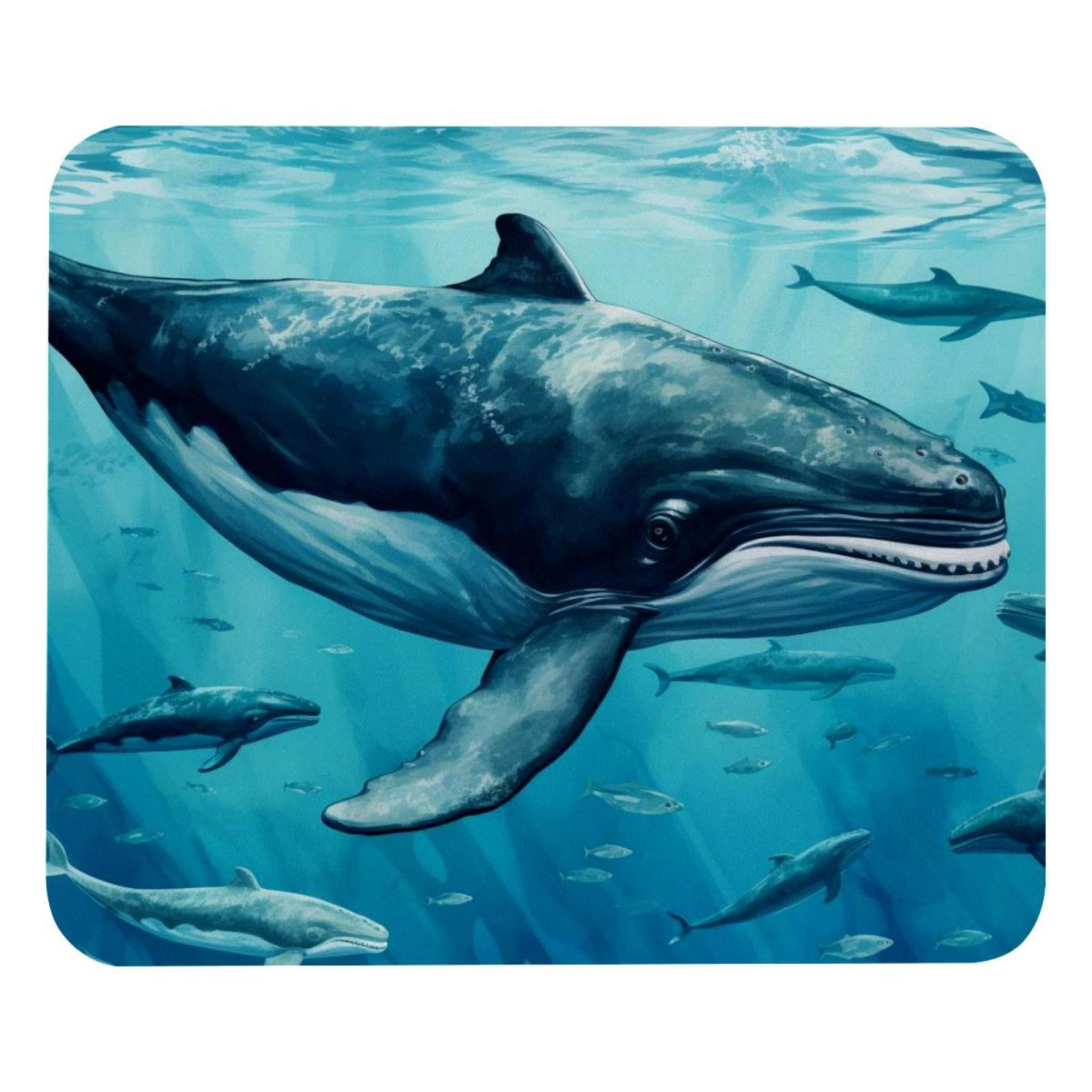 Whale Mouse Pad, Personality Design Rubber Base for Office Decor for ...