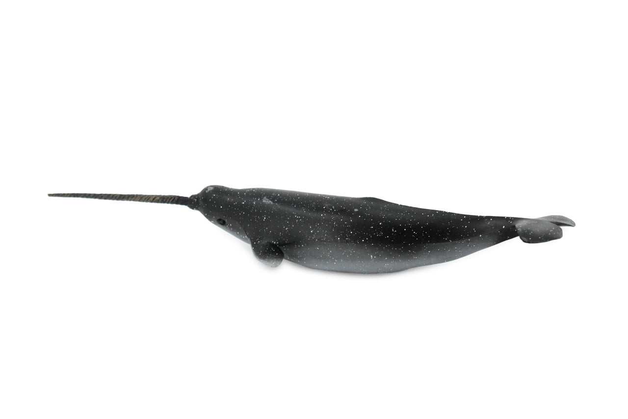 Whale, Narwhal, Unicorns of the sea, Museum Quality, Rubber, Hand ...