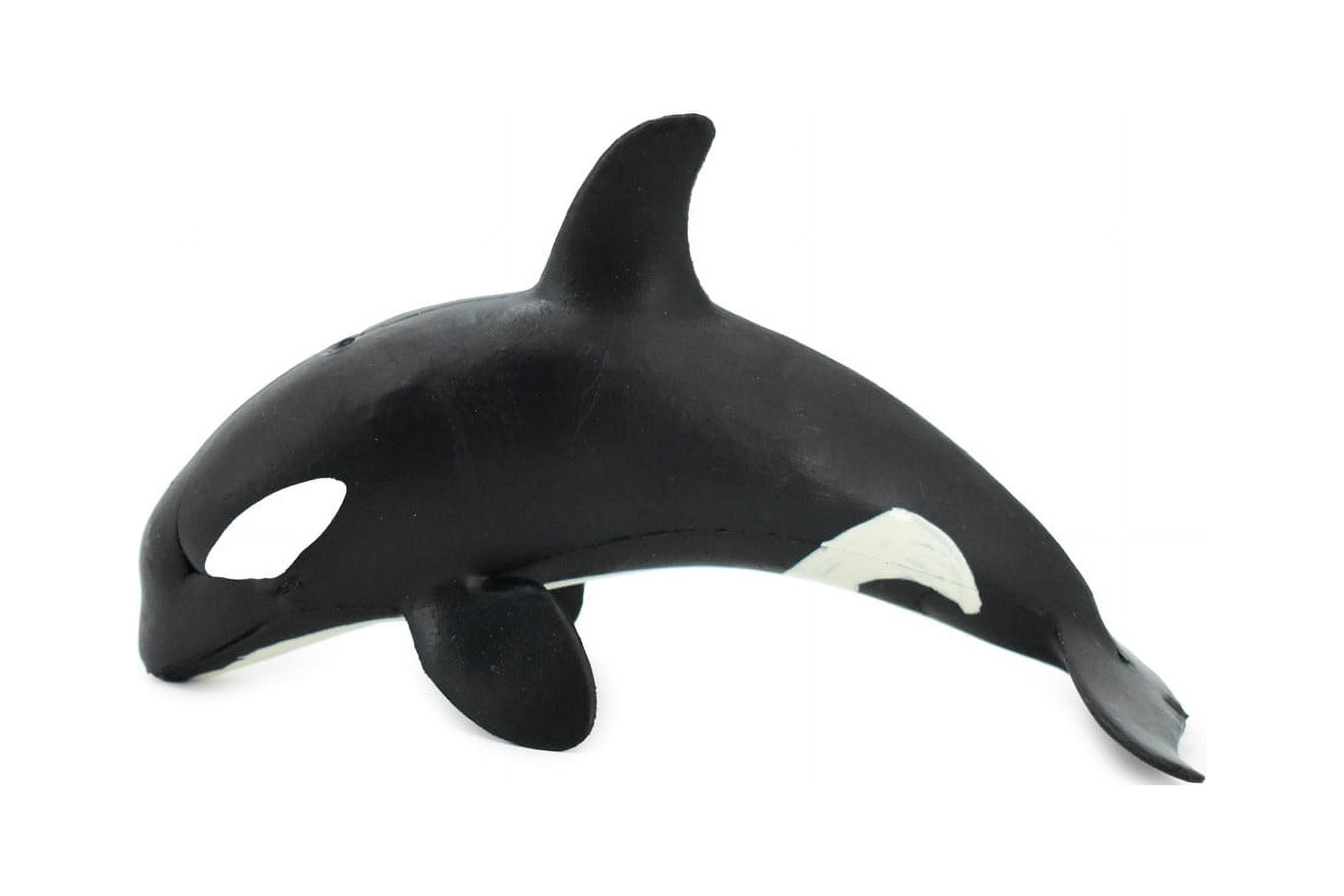 Hand Painted Orca Whale Toy, Realistic Rubber Marine Mammal ...