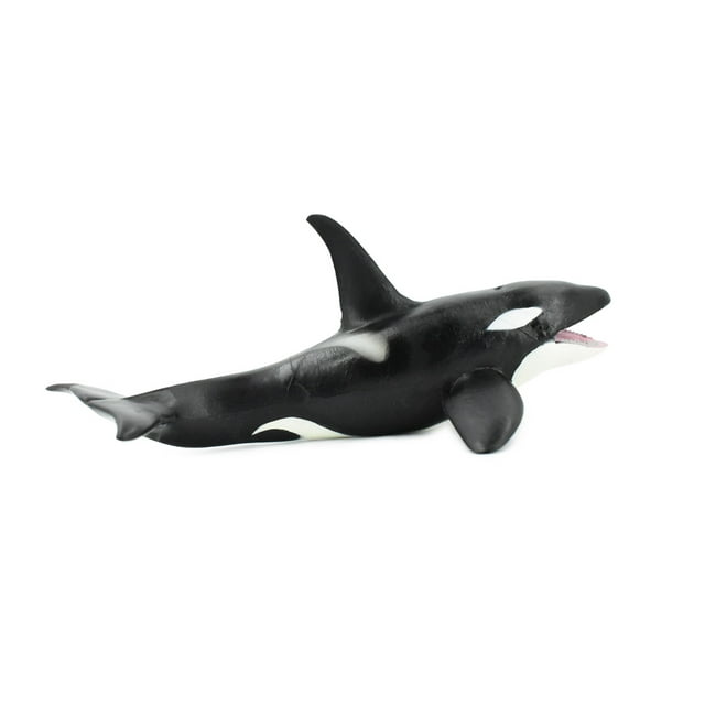 Whale, Orca, Killer Whale, Marine Mammal, Museum Quality, Hand Painted ...