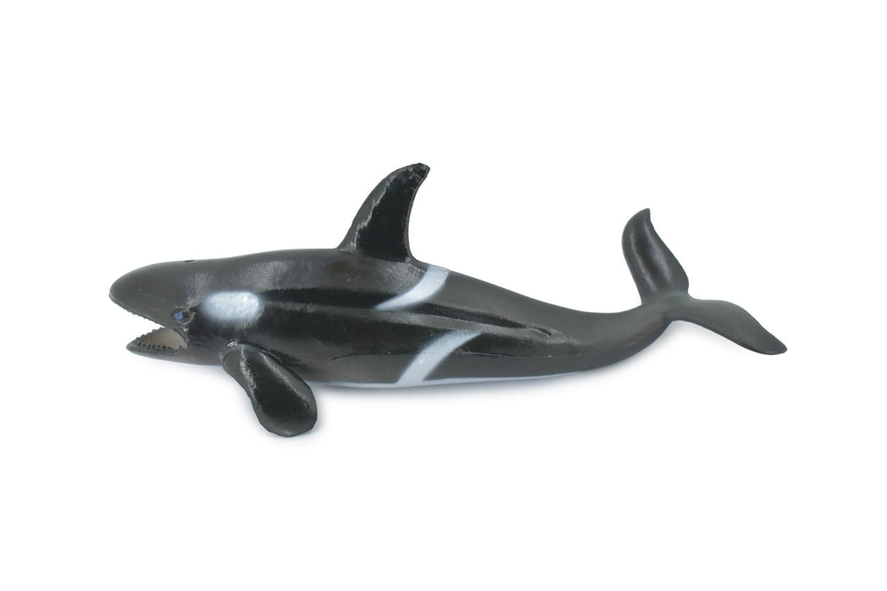 Whale, Orca, Killer Whale, Marine Mammal, Plastic, Animal, Realistic ...
