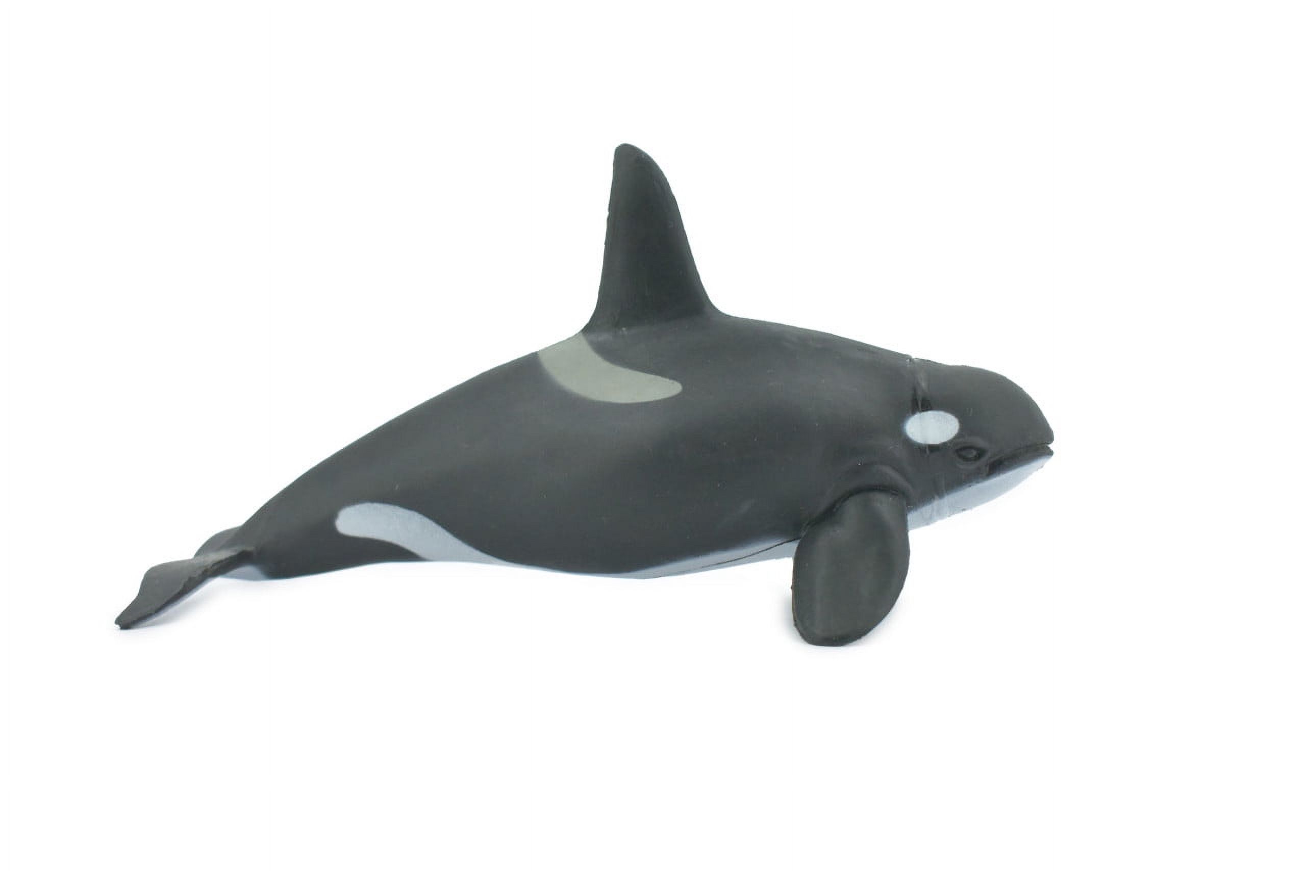 Whale, Orca, Killer Whale, Marine Mammal, Soft Rubber, Animal ...
