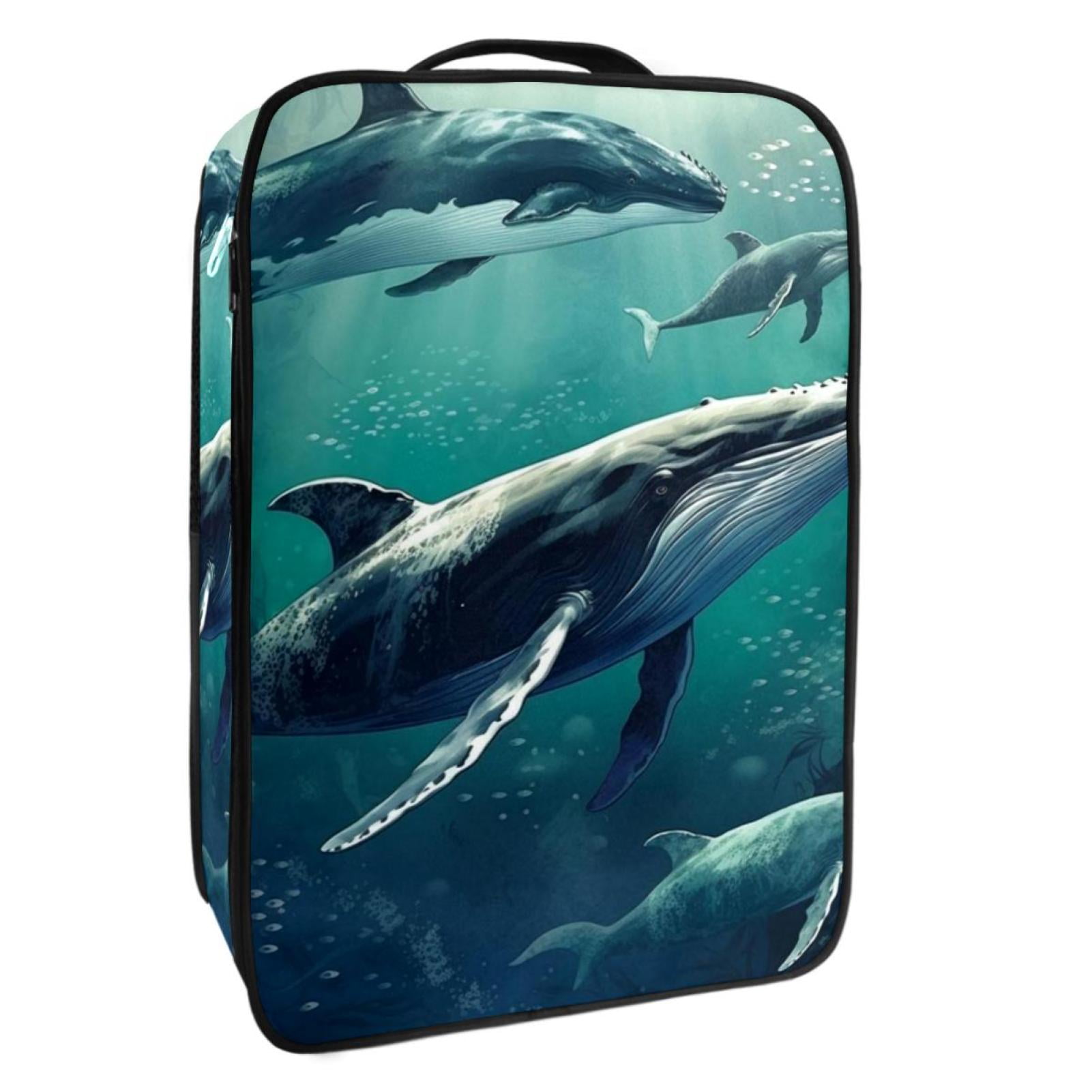 Whale Polyester Shoe Boxes Organizer Rack 23x31cm/9x12in - Shoe Storage ...