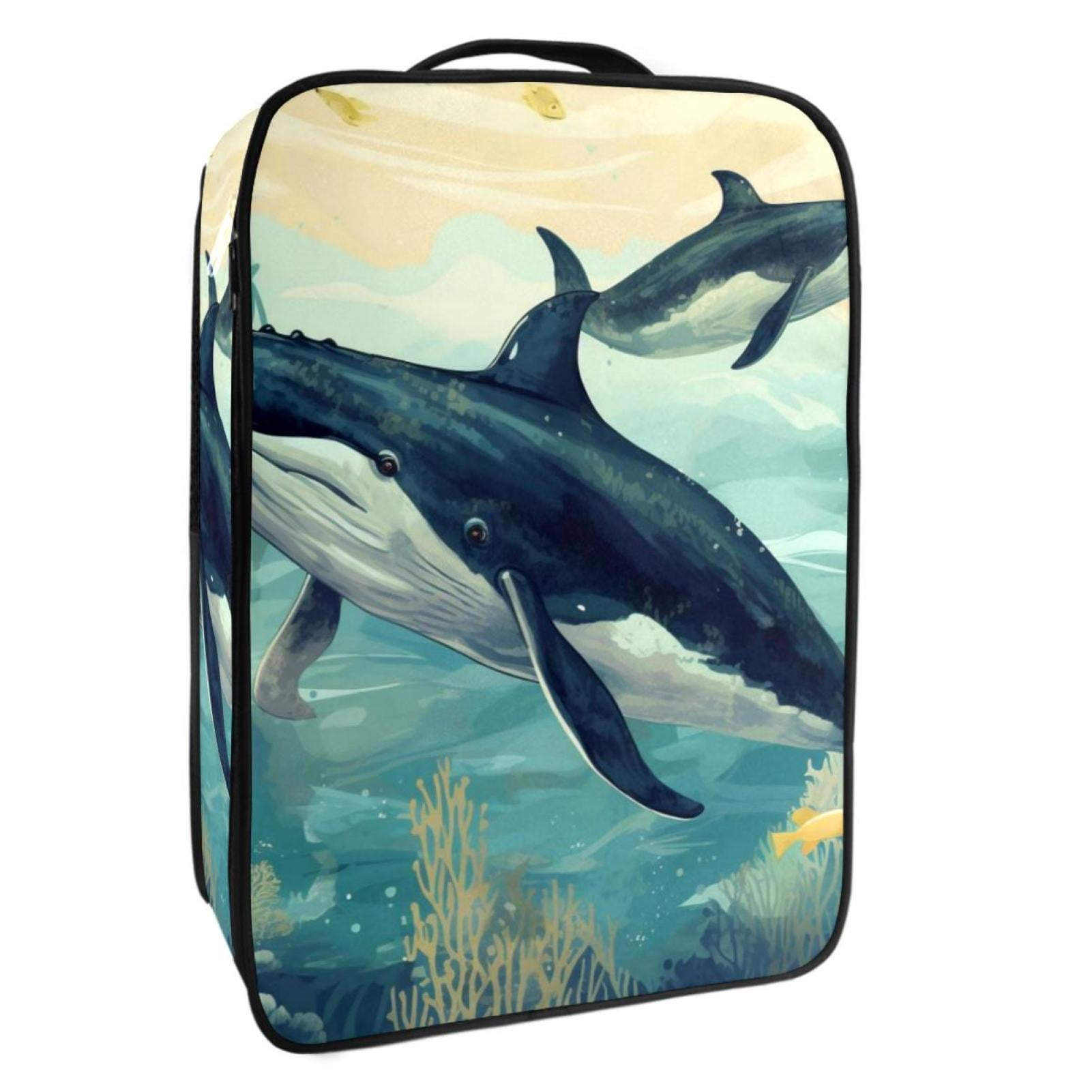 Whale Polyester Shoe Boxes Storage Organizer Containers, 23x31cm/9x12in ...