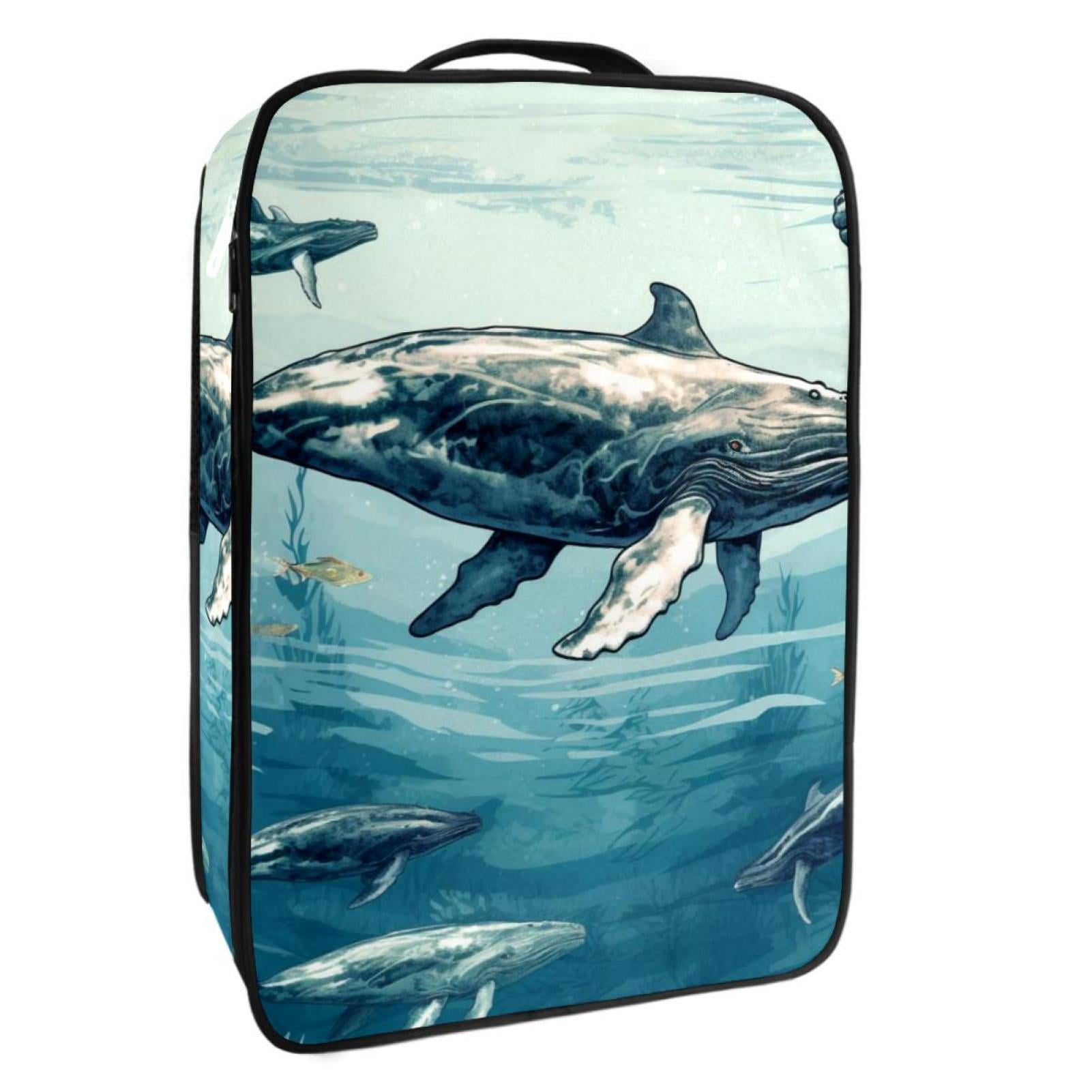 Whale Polyester Shoe Storage Containers, 23x31cm/9x12in, Pack of 2 ...