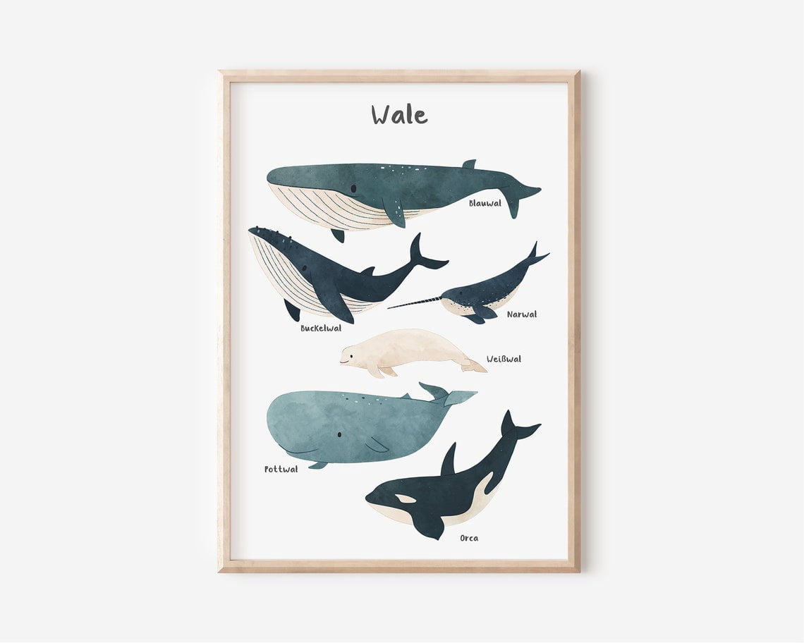 Whale Poster In A2 A3 A4 Poster For Children'S Rooms Print Gift For ...
