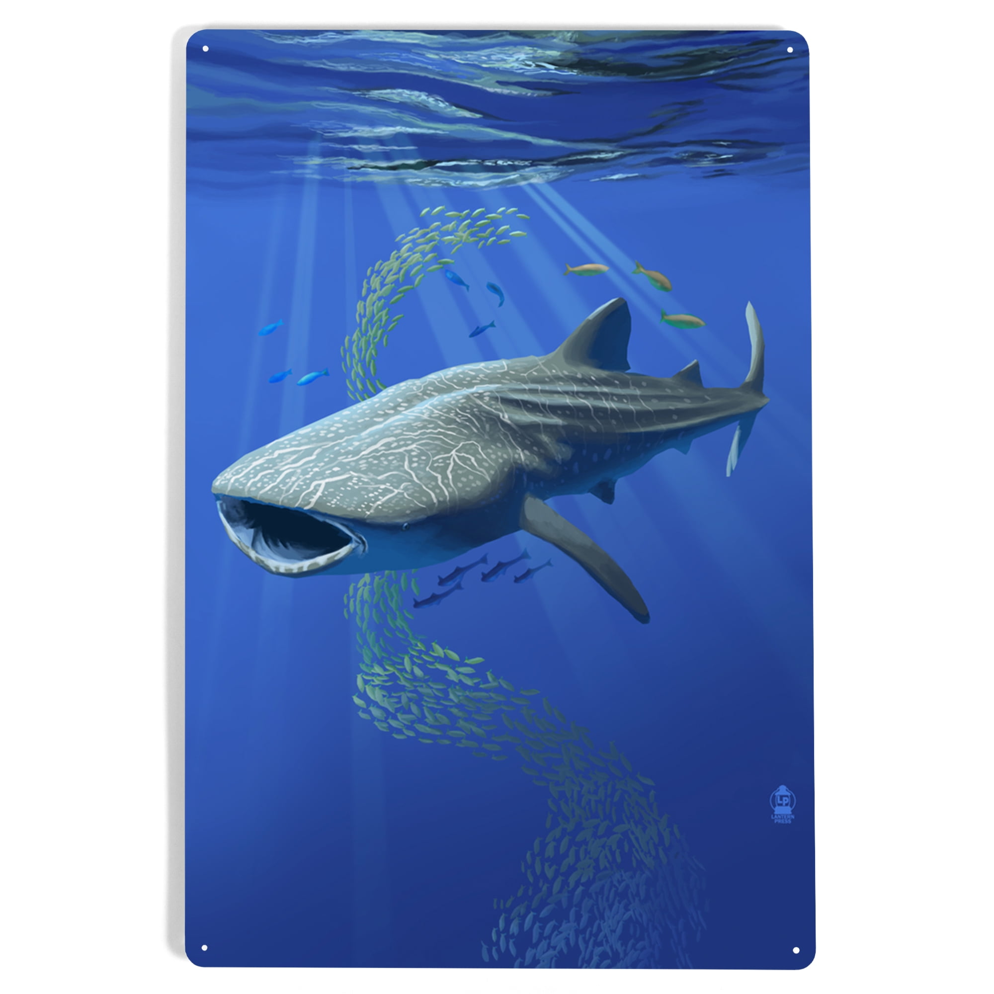 Whale Shark (12x18 Aluminum Art, Indoor Outdoor Metal Sign Decor ...