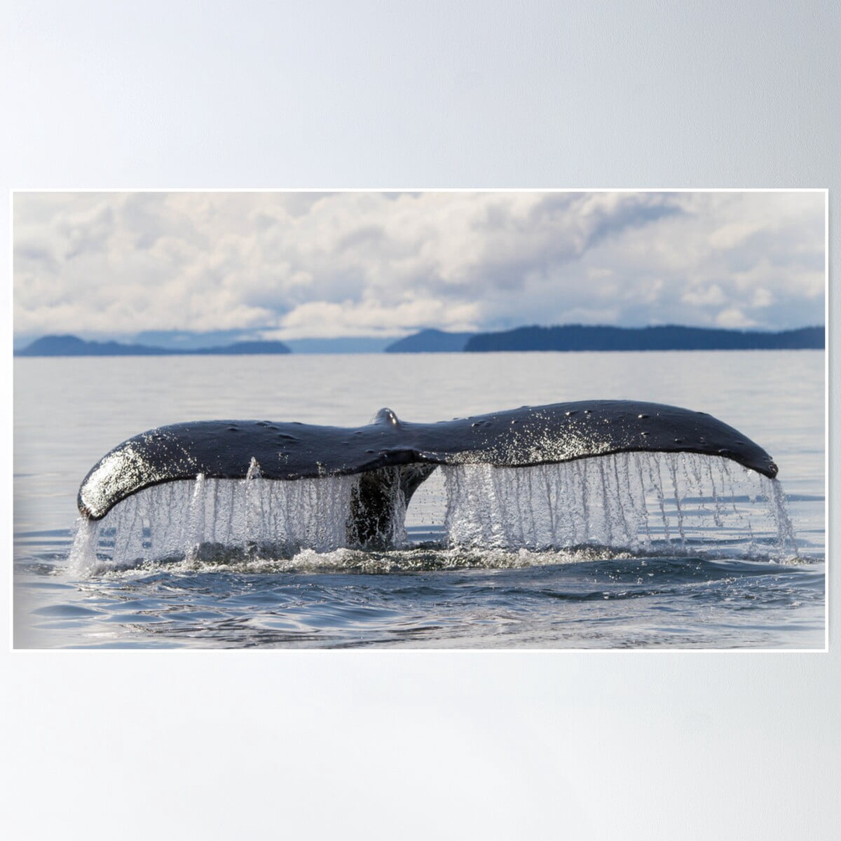 Whale Tail Poster Wall Art, Modern Wall Decor For Living Room Bedroom ...