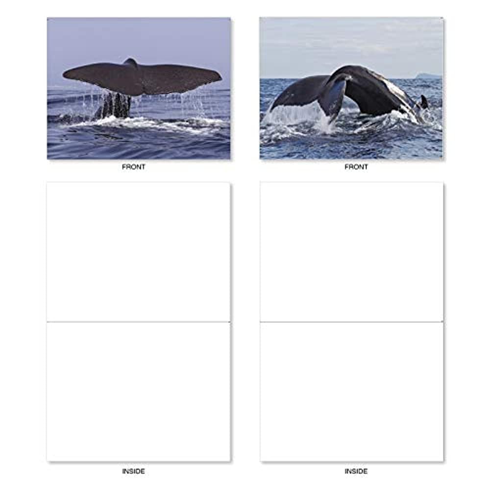 Whale Tales - 10 Majestic All Occasion Blank Cards with Envelope (4 x 5 ...
