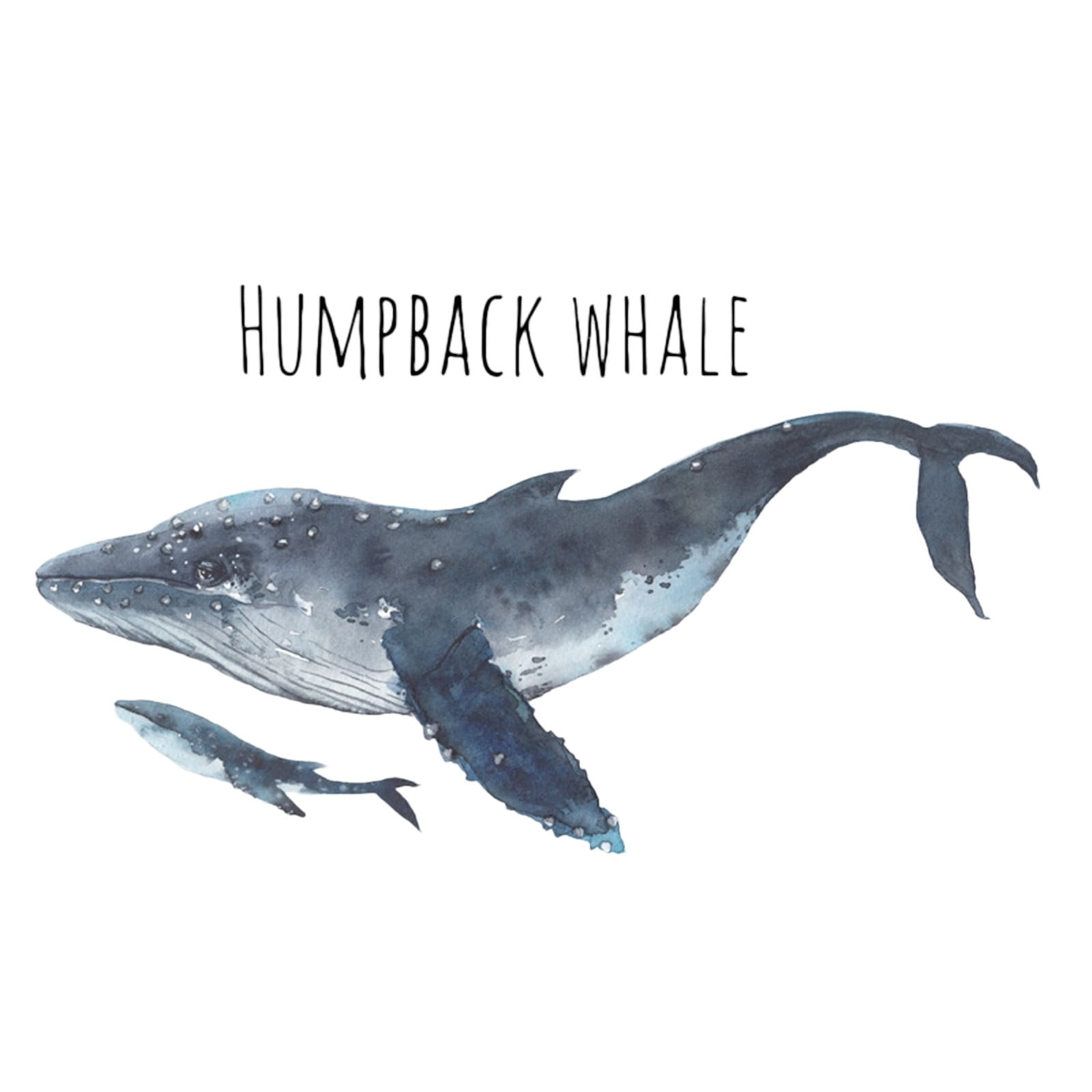Whale Wall Decal Sticker - Hand-Drawn Ocean Animal Mural for Kids ...