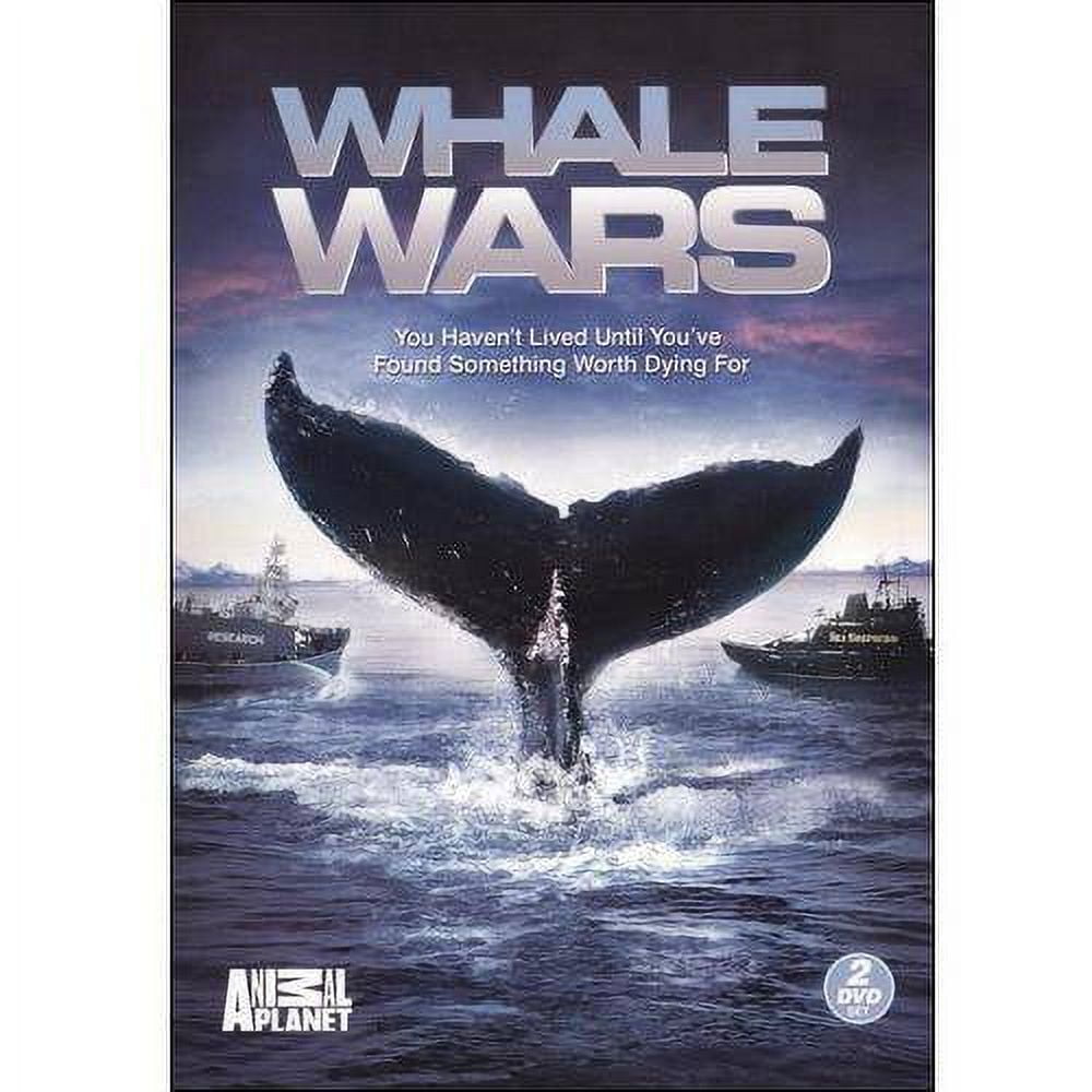 Whale Wars: Season 1 (Widescreen) - Walmart.com