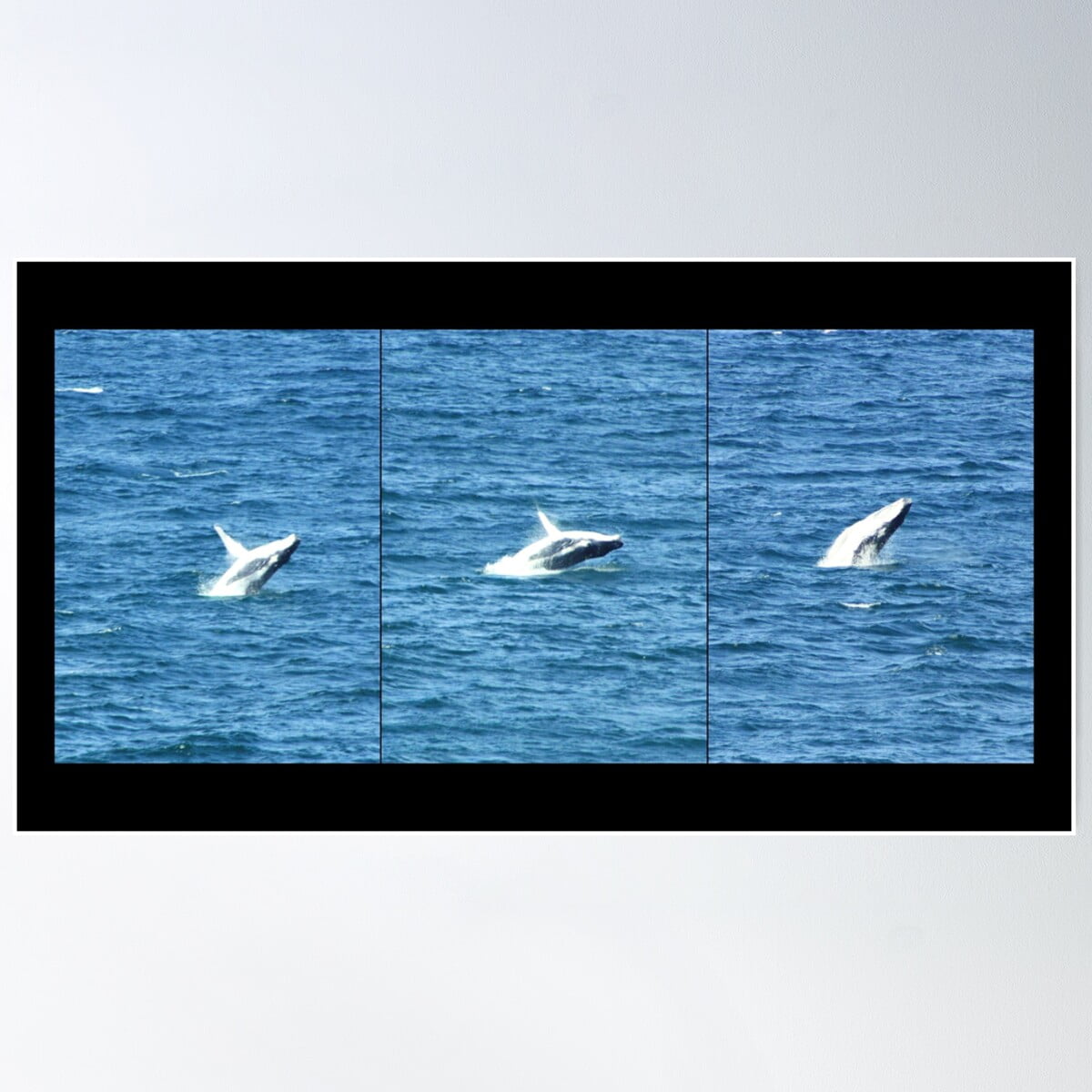 Whales At Caba ... Poster Wall Art, Modern Wall Decor For Living Room ...