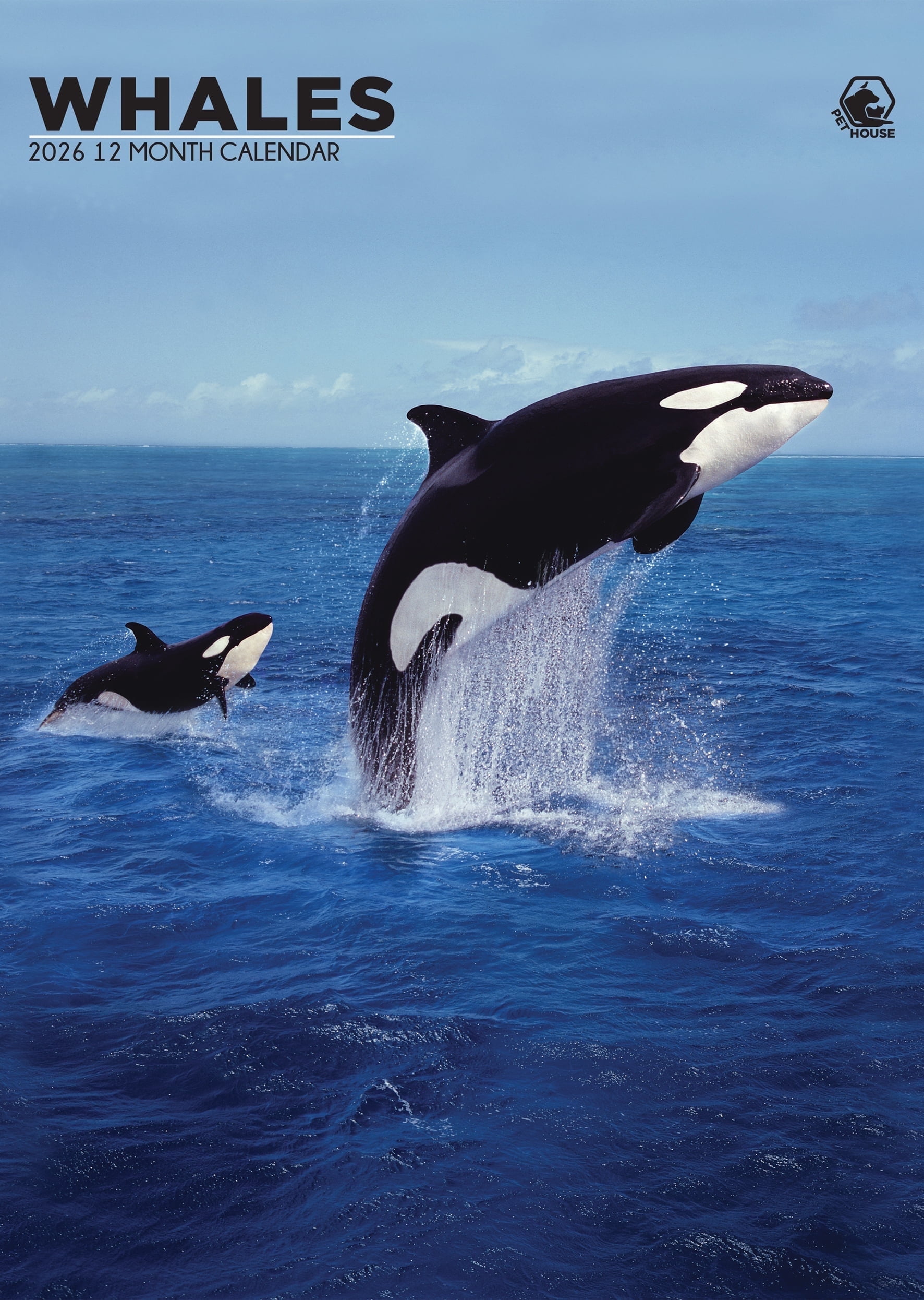 Whales Calendar 2026 – Majestic Ocean Giants in Stunning Detail ...