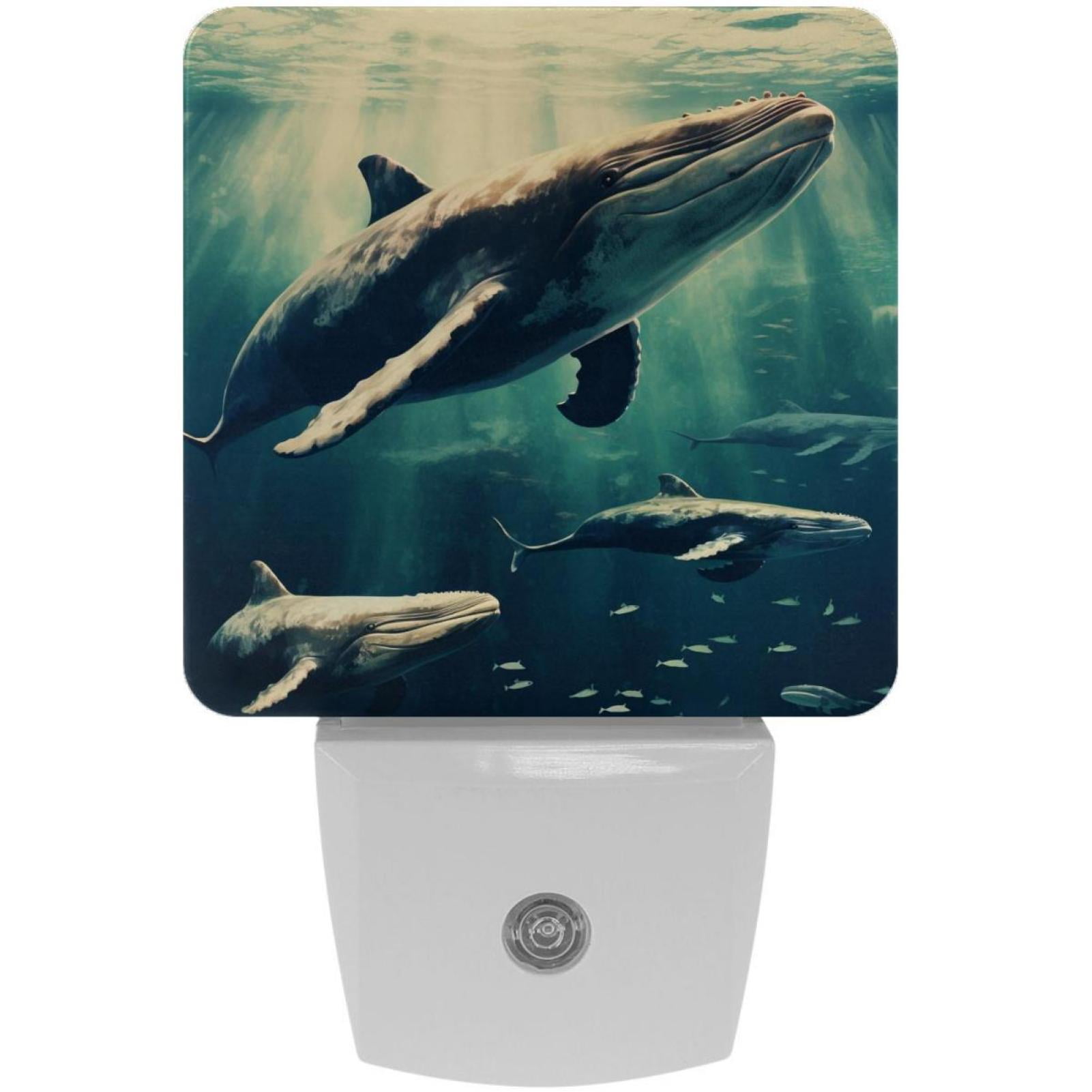 Whales Enhance Your Space with LED Square Night Lights - Versatile & Stylish Illumination ...