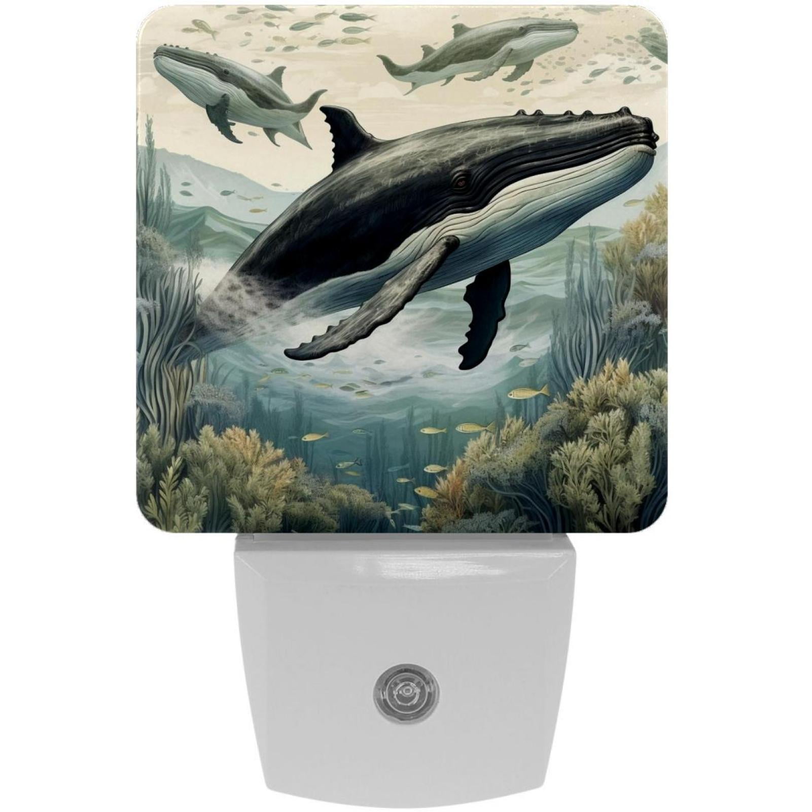 Whales Enhance Your Space with LED Square Night Lights - Versatile ...