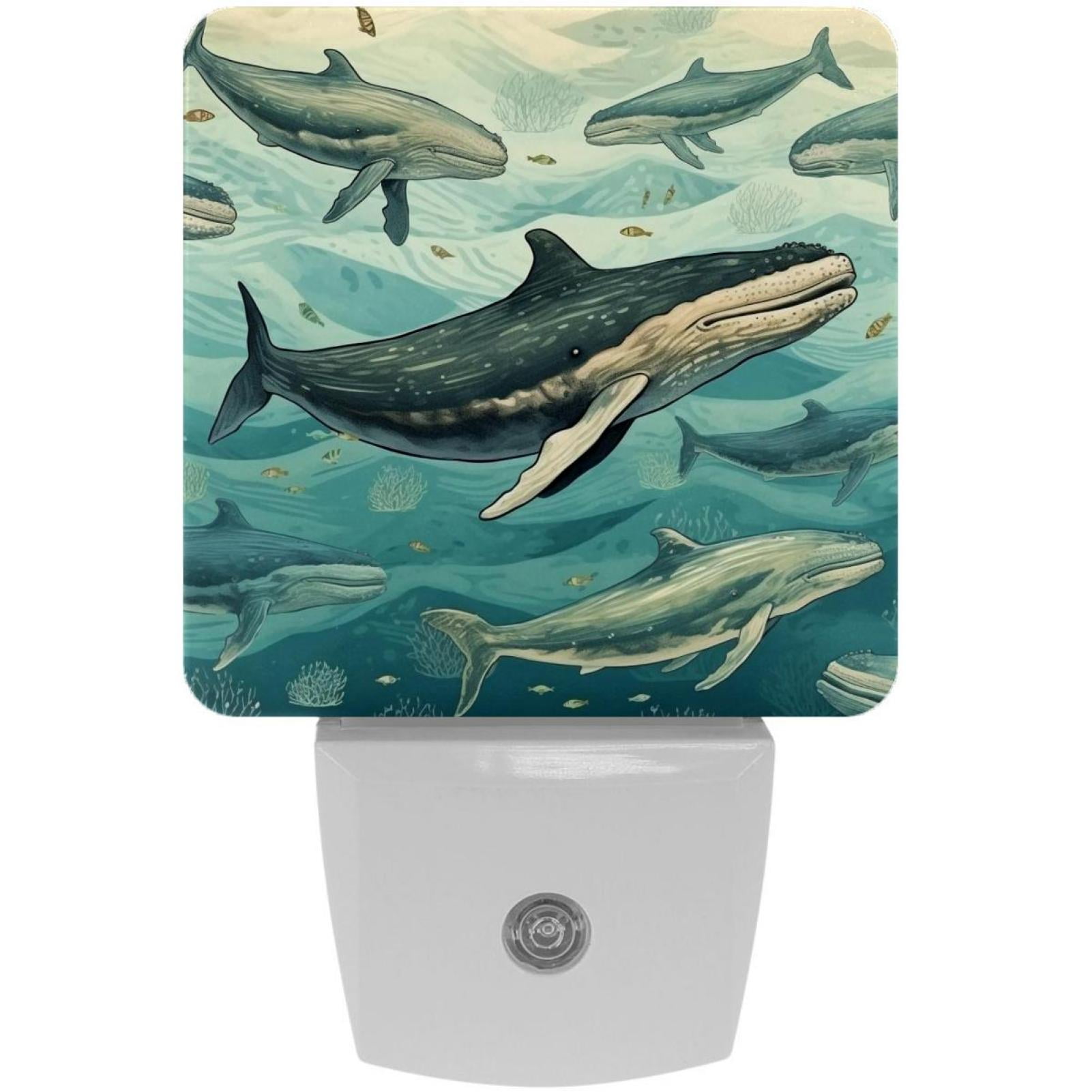 Whales LED Square Night Lights - Compact and Multifunctional ...
