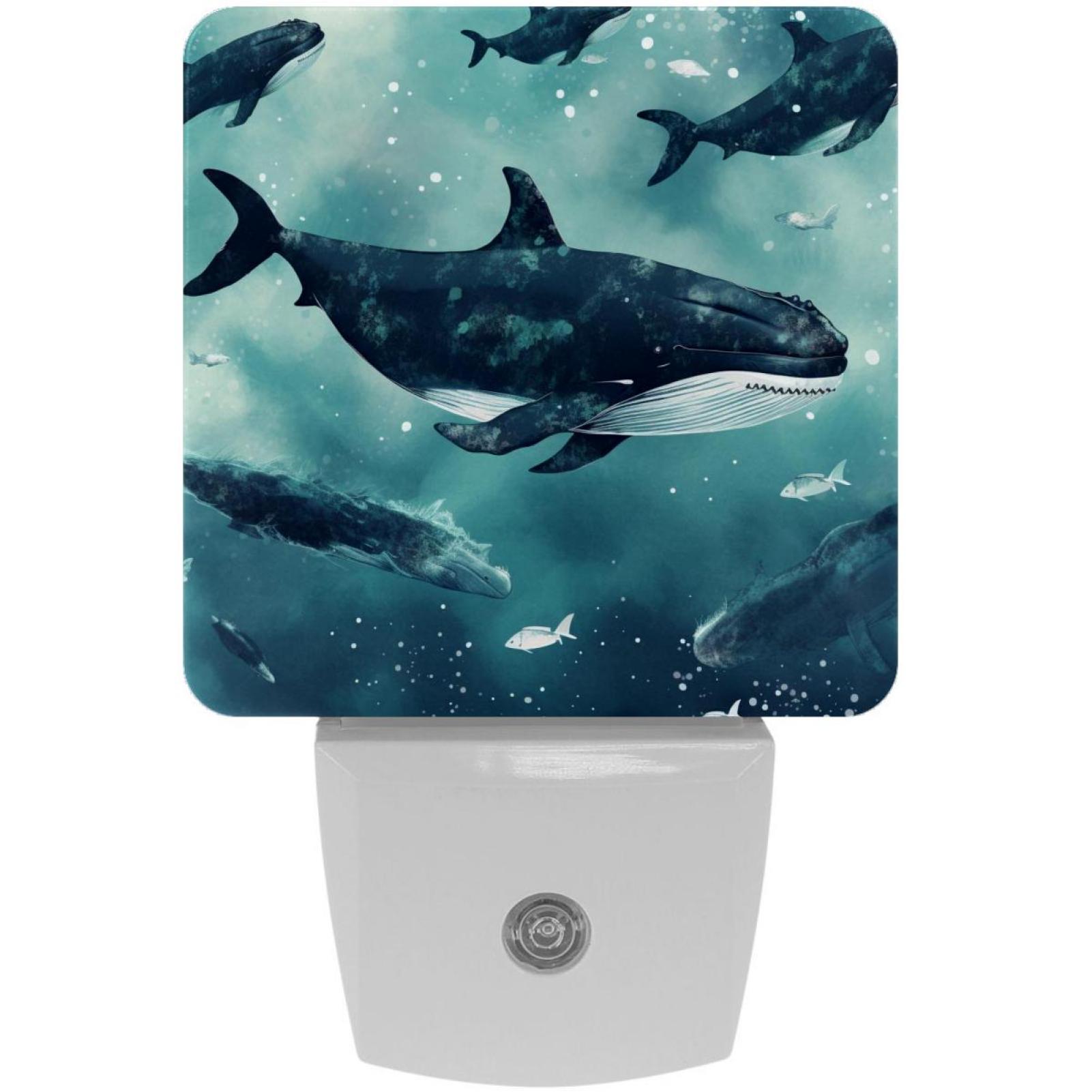 Whales LED Square Night Lights - Compact and Multifunctional ...