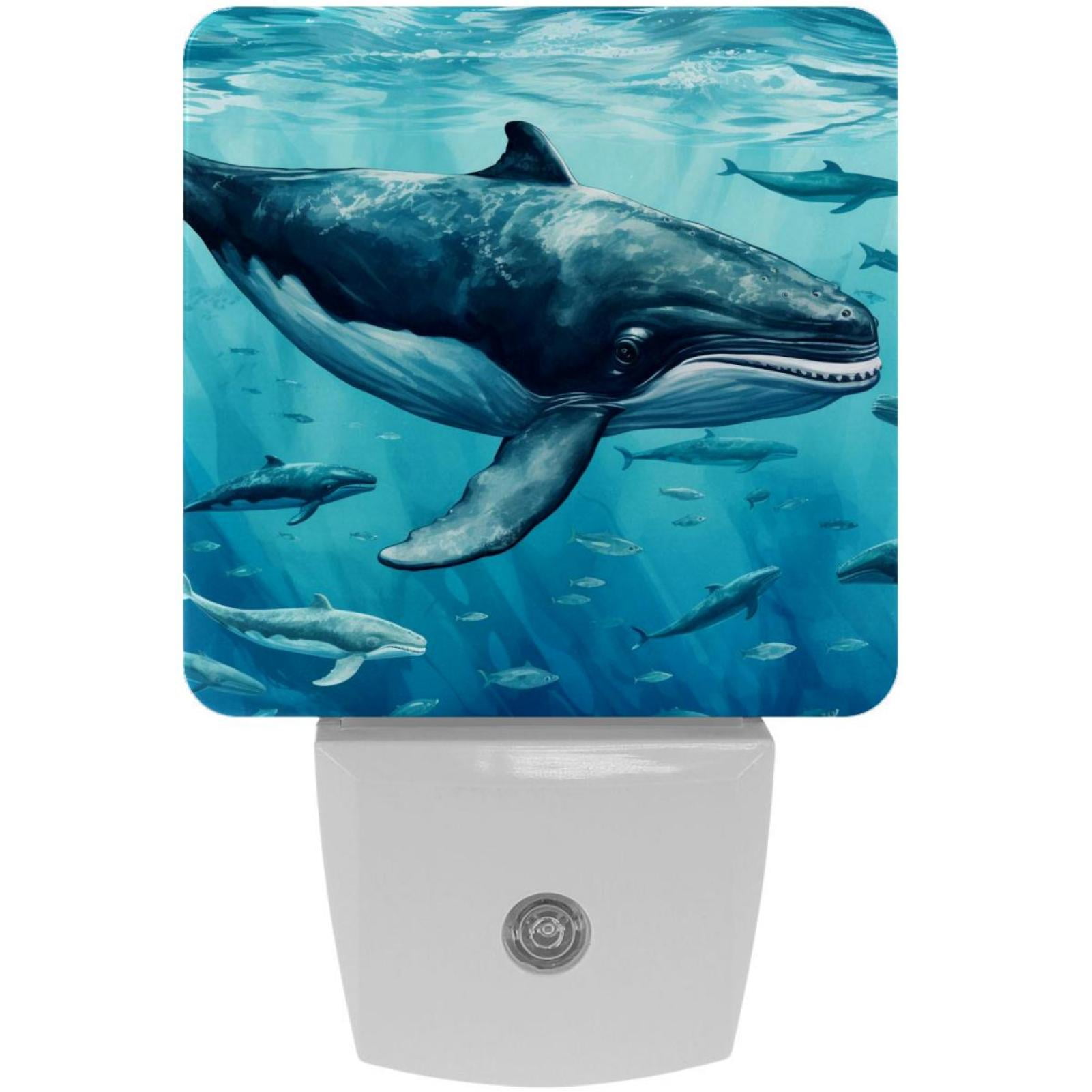 Whales LED Square Night Lights - Energy Efficient Bedside Lamp with ...