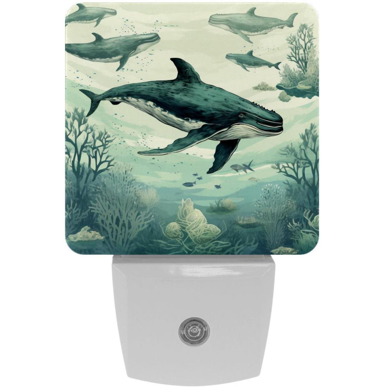 Whales LED Square Night Lights - Energy Efficient & Elegant Decorative Lighting for Your Home ...