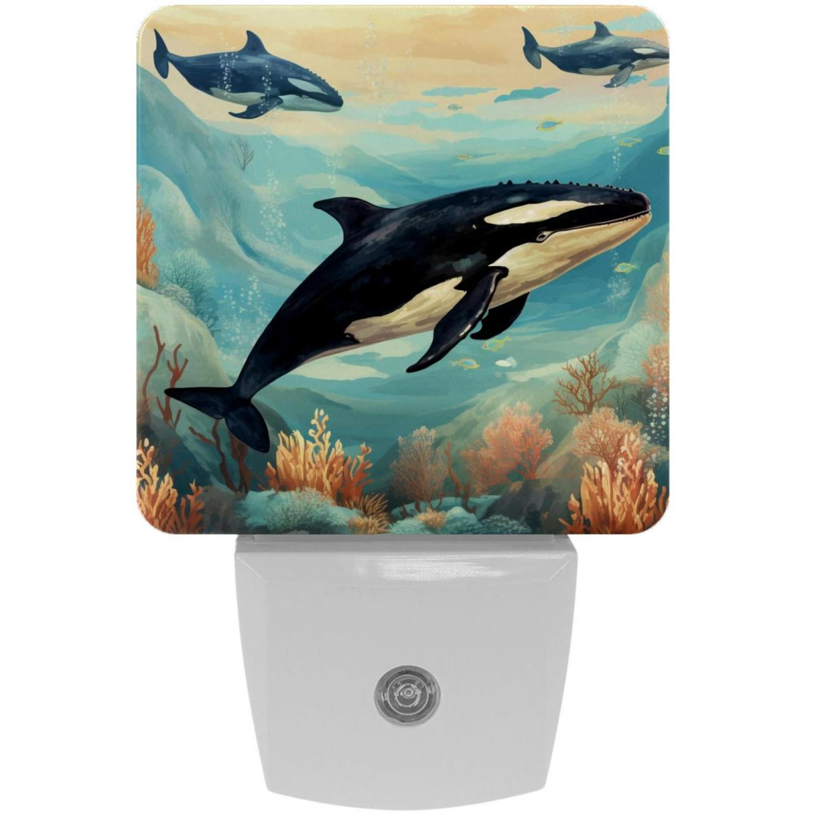 Whales LED Square Night Lights - Energy Efficient and Stylish Bedroom ...