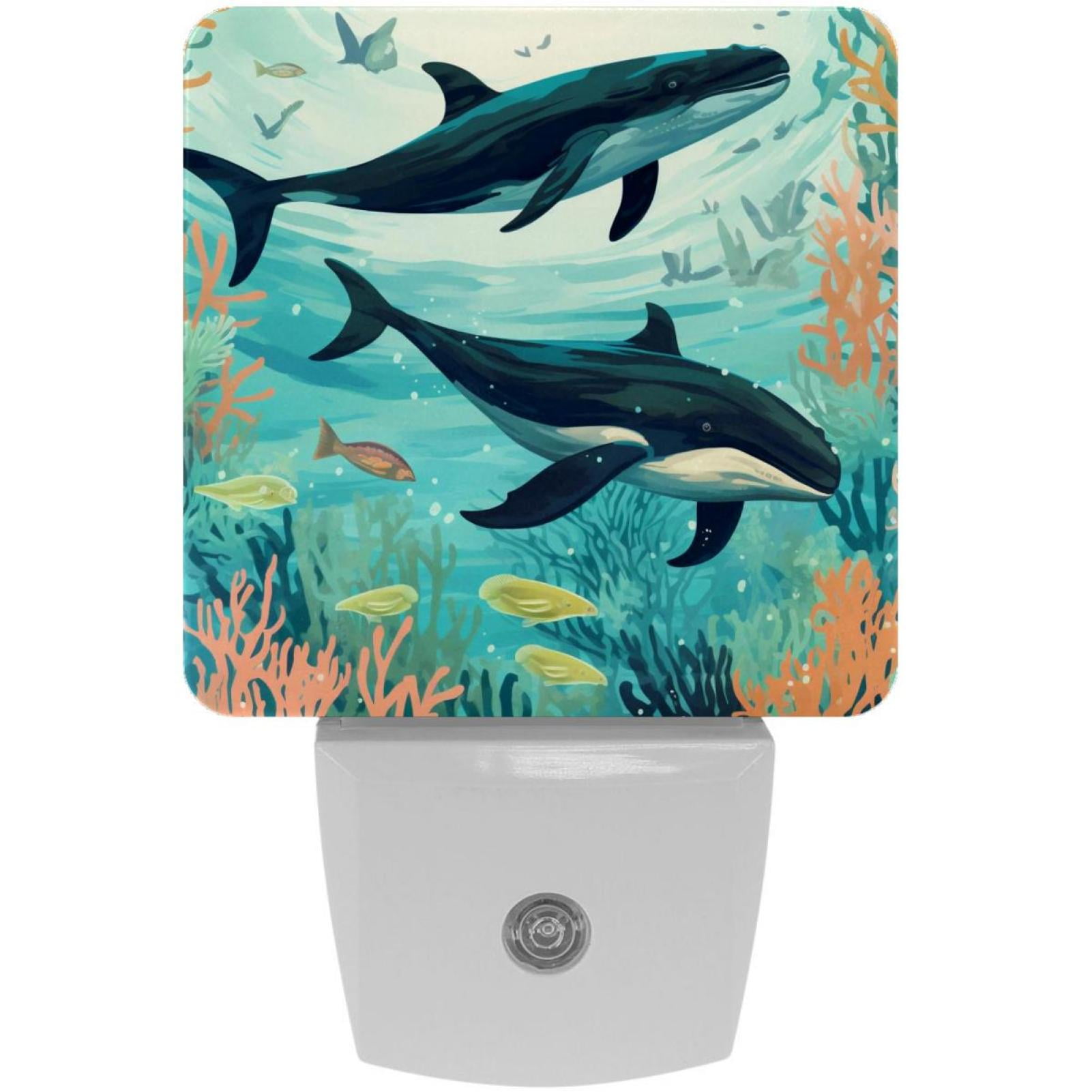 Whales LED Square Night Lights- Energy Efficient and Stylish ...