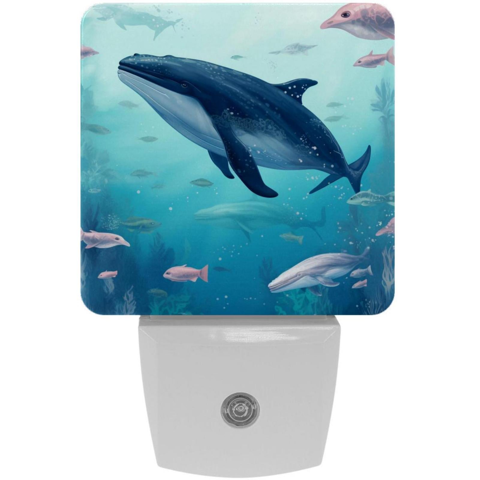 Whales LED Square Night Lights- Energy Efficient and Stylish ...