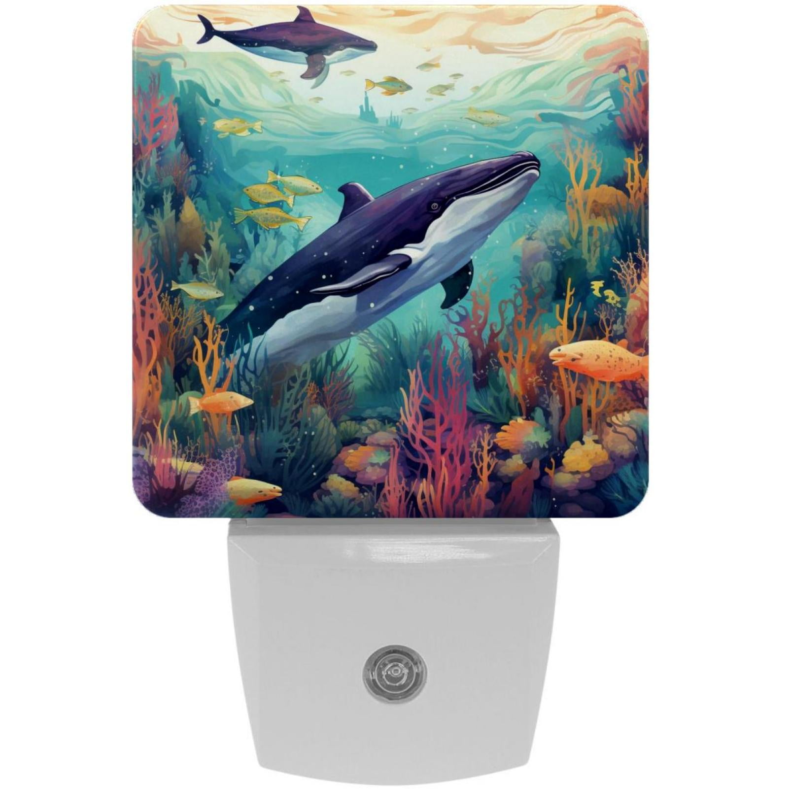 Whales LED Square Night Lights - Illuminating Your Space with Style ...