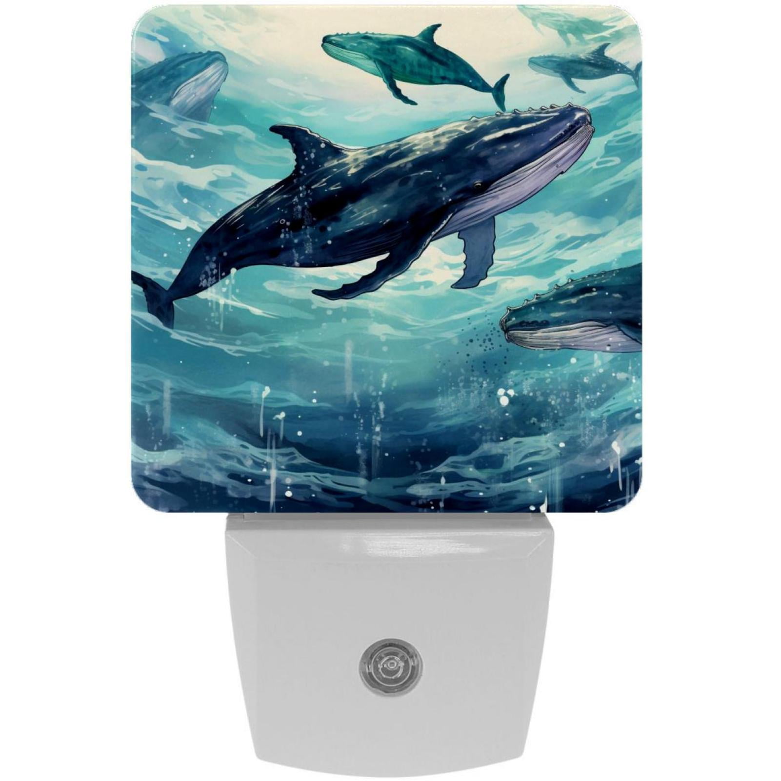 Whales LED Square Night Lights - Stylish and Energy-Efficient Lighting ...