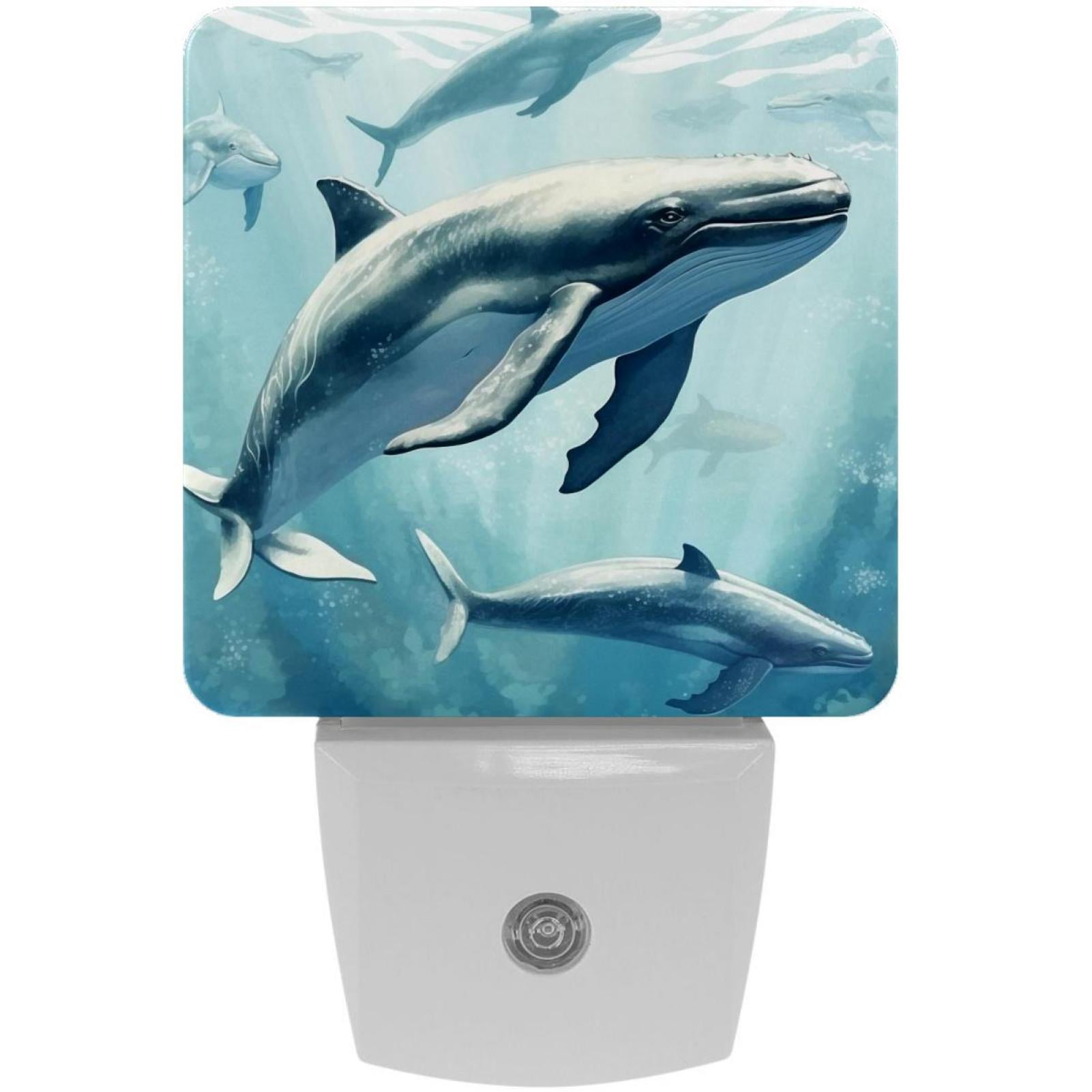 Whales LED Square Night Lights - Stylish and Energy-Efficient Lighting ...