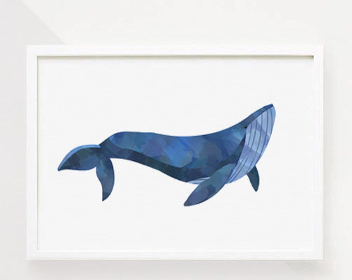 Whales Watercolor Print, Blue Whale Print, Whale Cetacea Poster, Whale ...