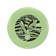 Wham-O DYN-O-GLOW FRISBEE - Walmart.com