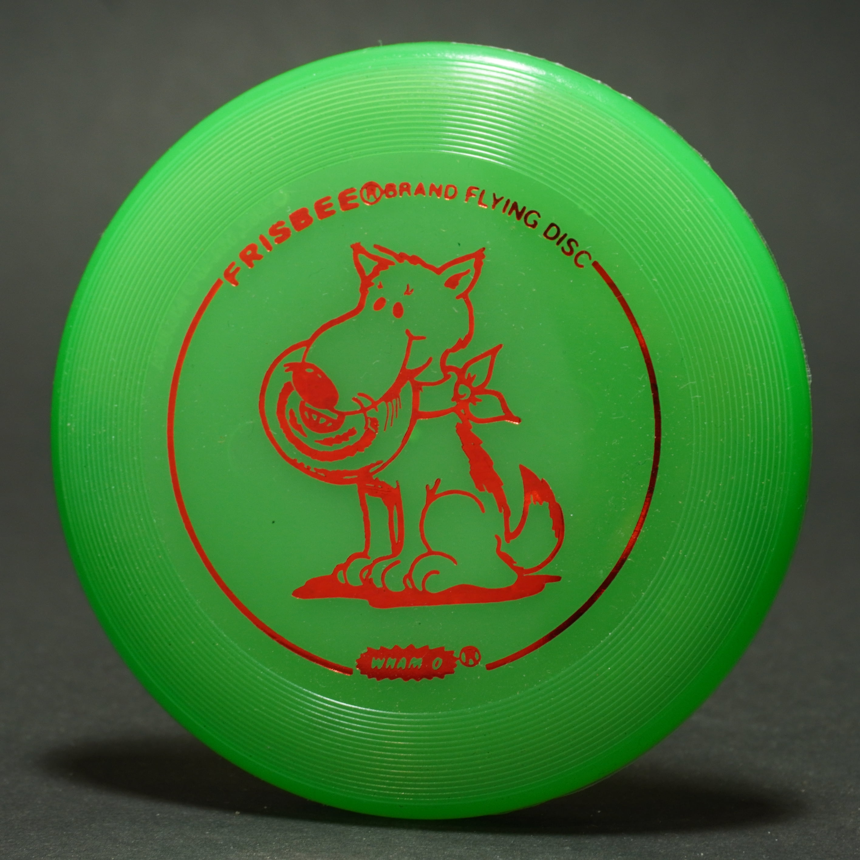 Wham-O Mini Frisbee - Disc Dog Designs Chomp Mini - Walmart.com