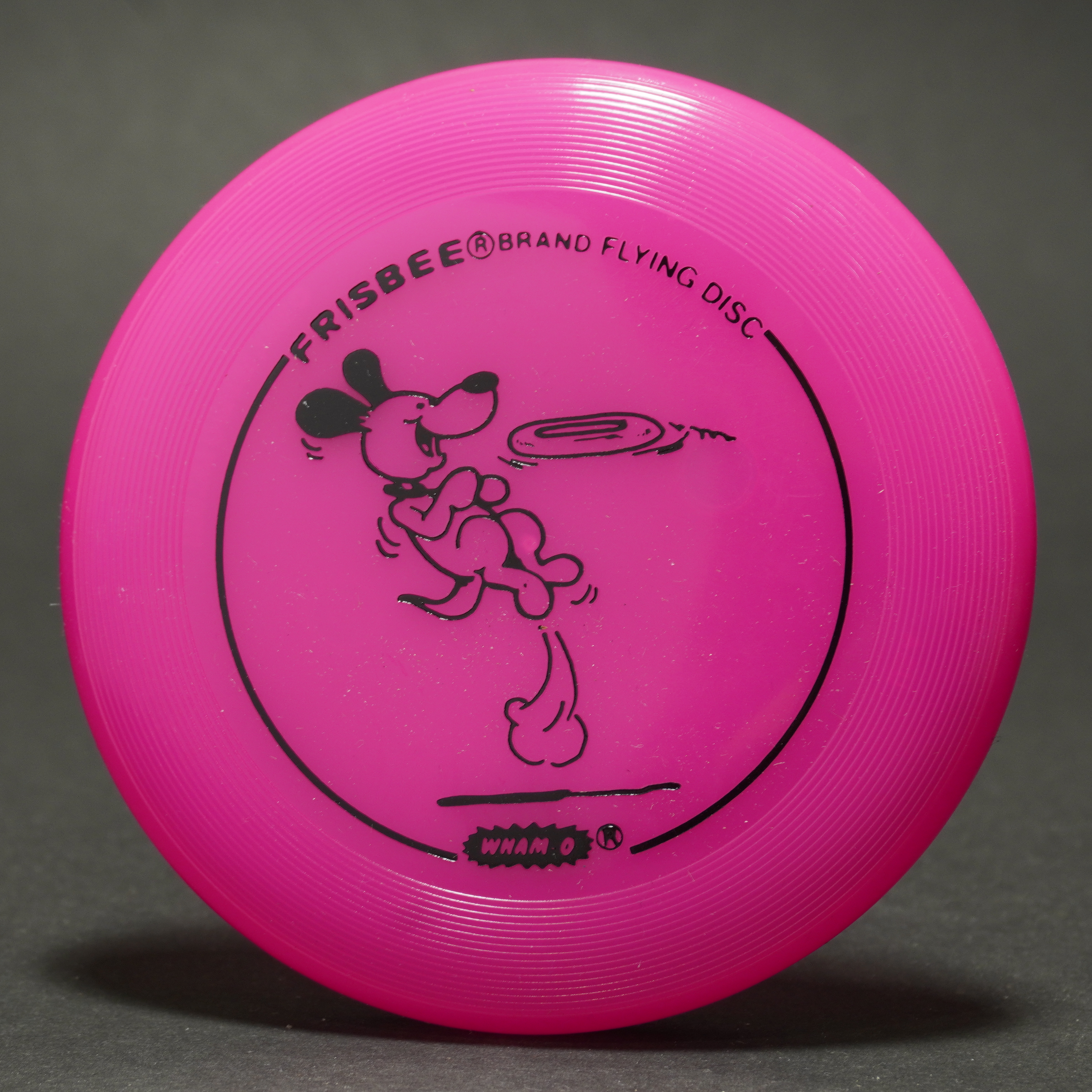 Wham-O Mini Frisbee - Disc Dog Designs Flying Dog Mini - Walmart.com