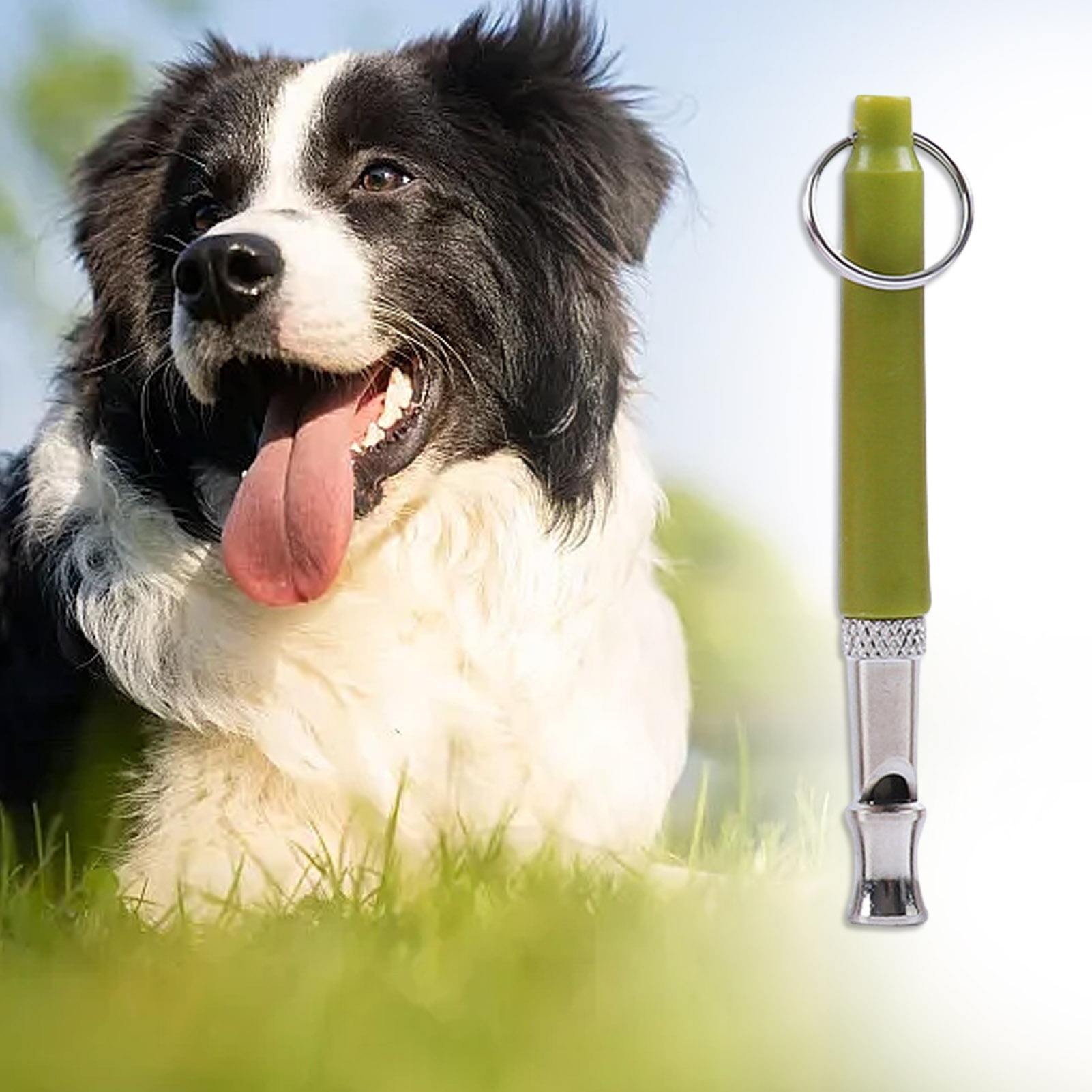 Wharick 1 pcs Dog Whistle, Dog Whistle to Stop Barking Neighbors Dog ...