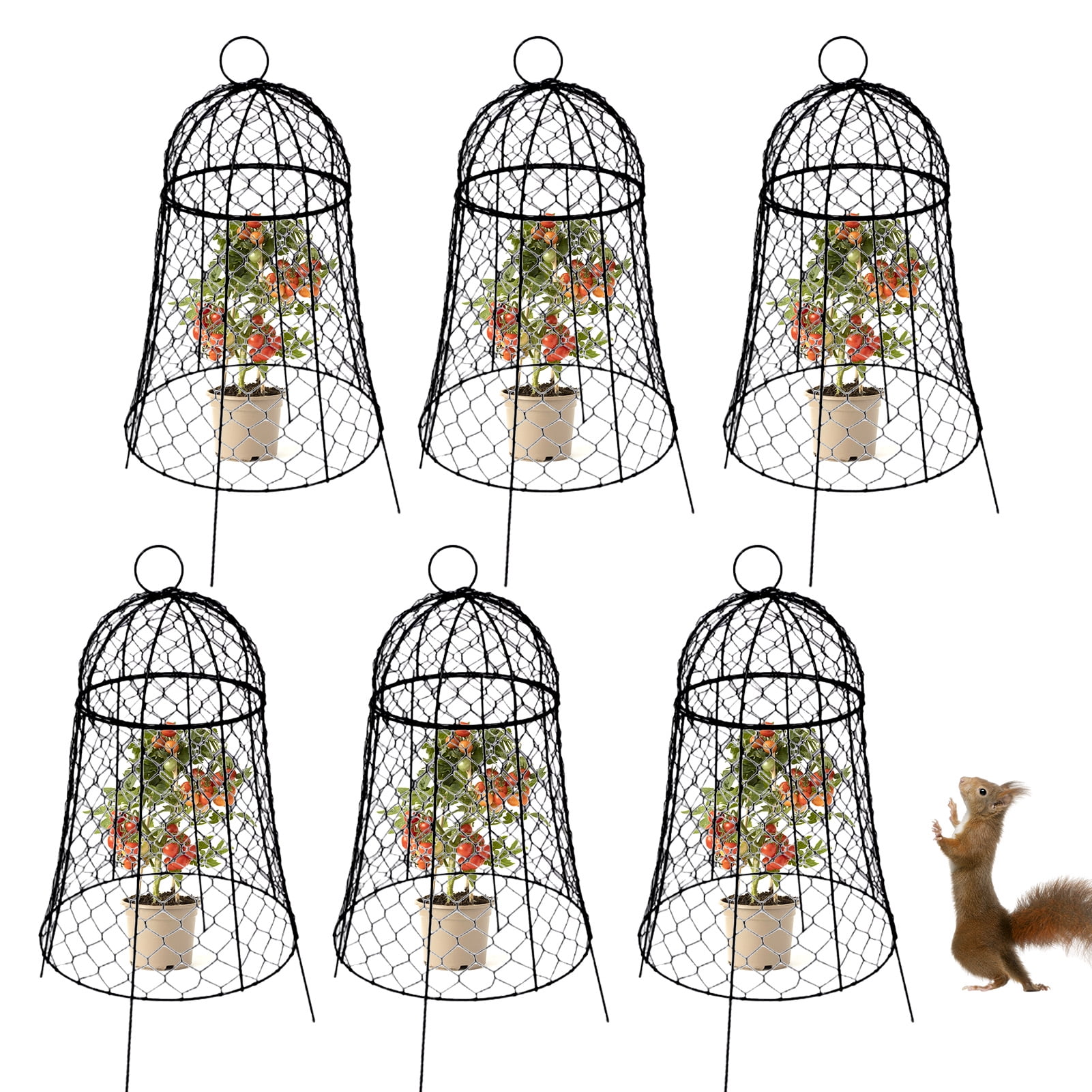 Wharick 6 Pcs Plant Protection Cover Rustproof Metal Garden Cloches ...