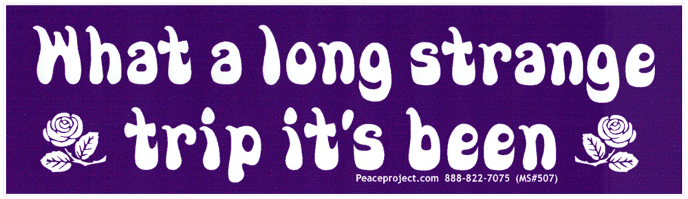 What A Long Strange Trip It's Been Small Deadhead Bumper Magnet for ...