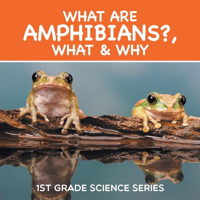What Are Amphibians?, What & Why: 1st Grade Science Series (Paperback ...