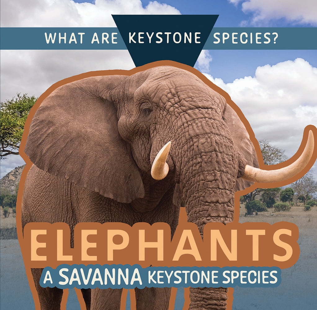 Pre-Owned Elephants: A Savanna Keystone Species (Library Binding) 1499446608 9781499446609 ...