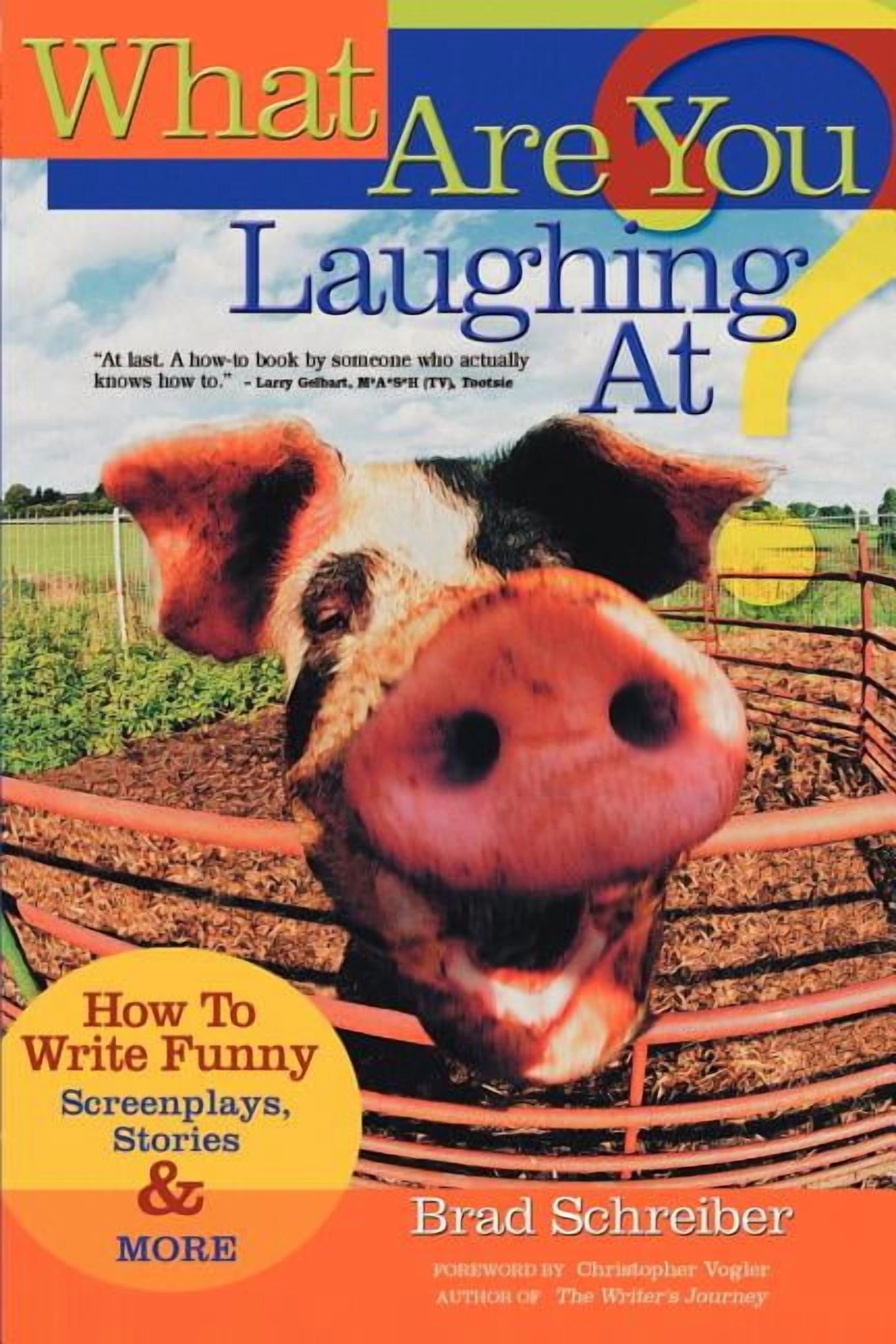 What Are You Laughing At?: How to Write Funny Screenplays, Stories, and ...