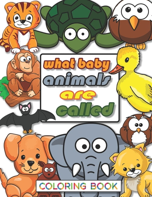 What Baby Animals Are Called: Coloring Book for kids aged 3-10. Best ...