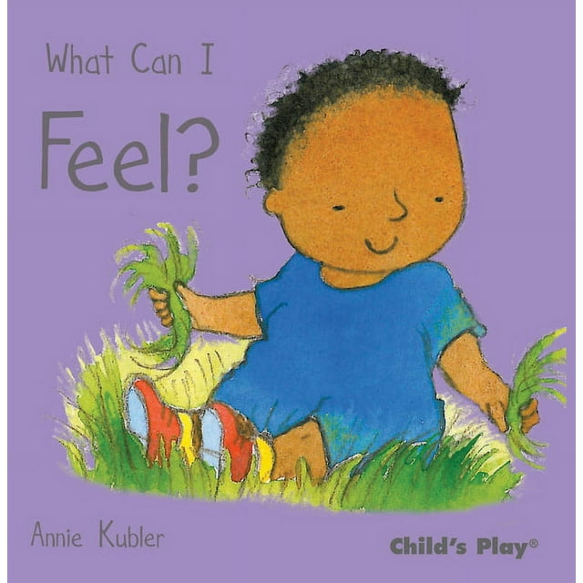 What Can I Feel? (Board Book) - Walmart.com