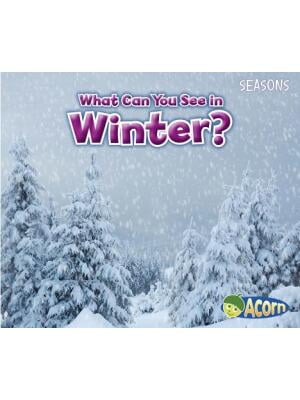What Can You See in Winter? - Walmart.com