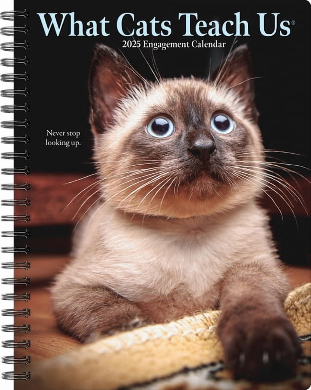 What Cats Teach Us 2025 Engagement Calendar - Walmart.com