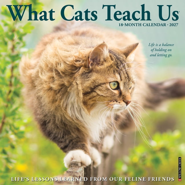 What Cats Teach Us 2027 12 X 12 Wall Calendar, (Paperback) - Walmart.com